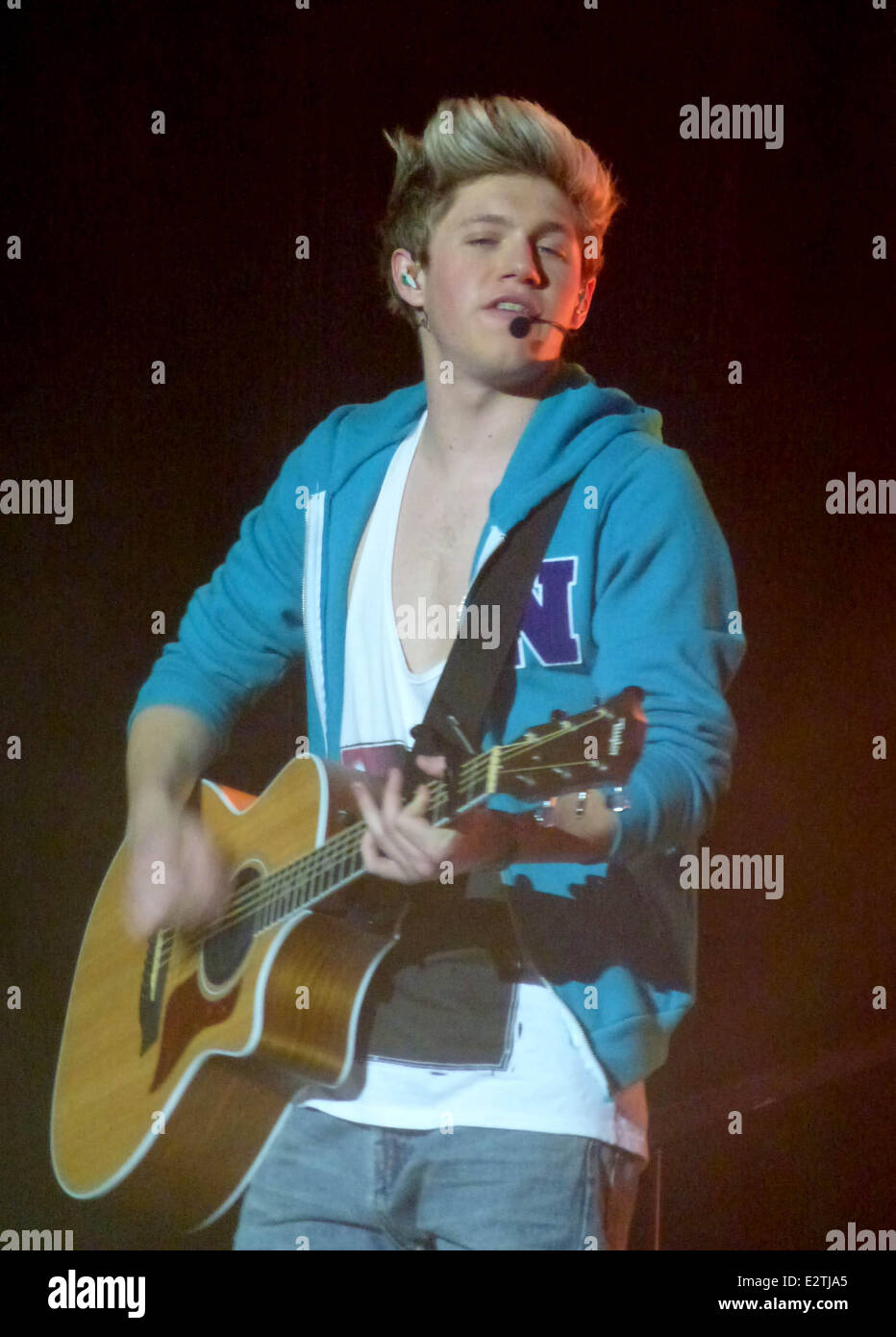Niall Horan Guitar Take Me Home Tour