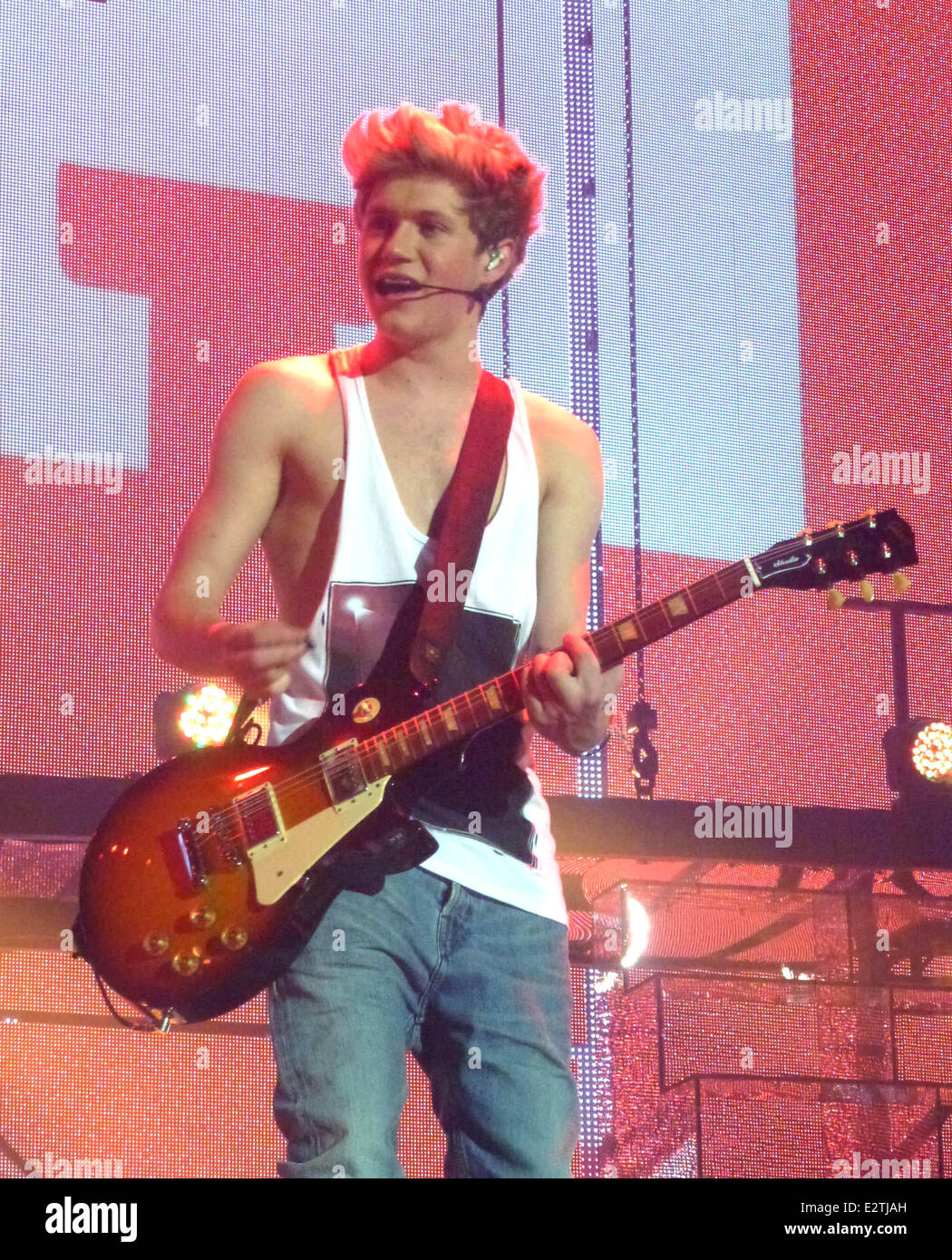 Niall Horan Guitar Take Me Home Tour