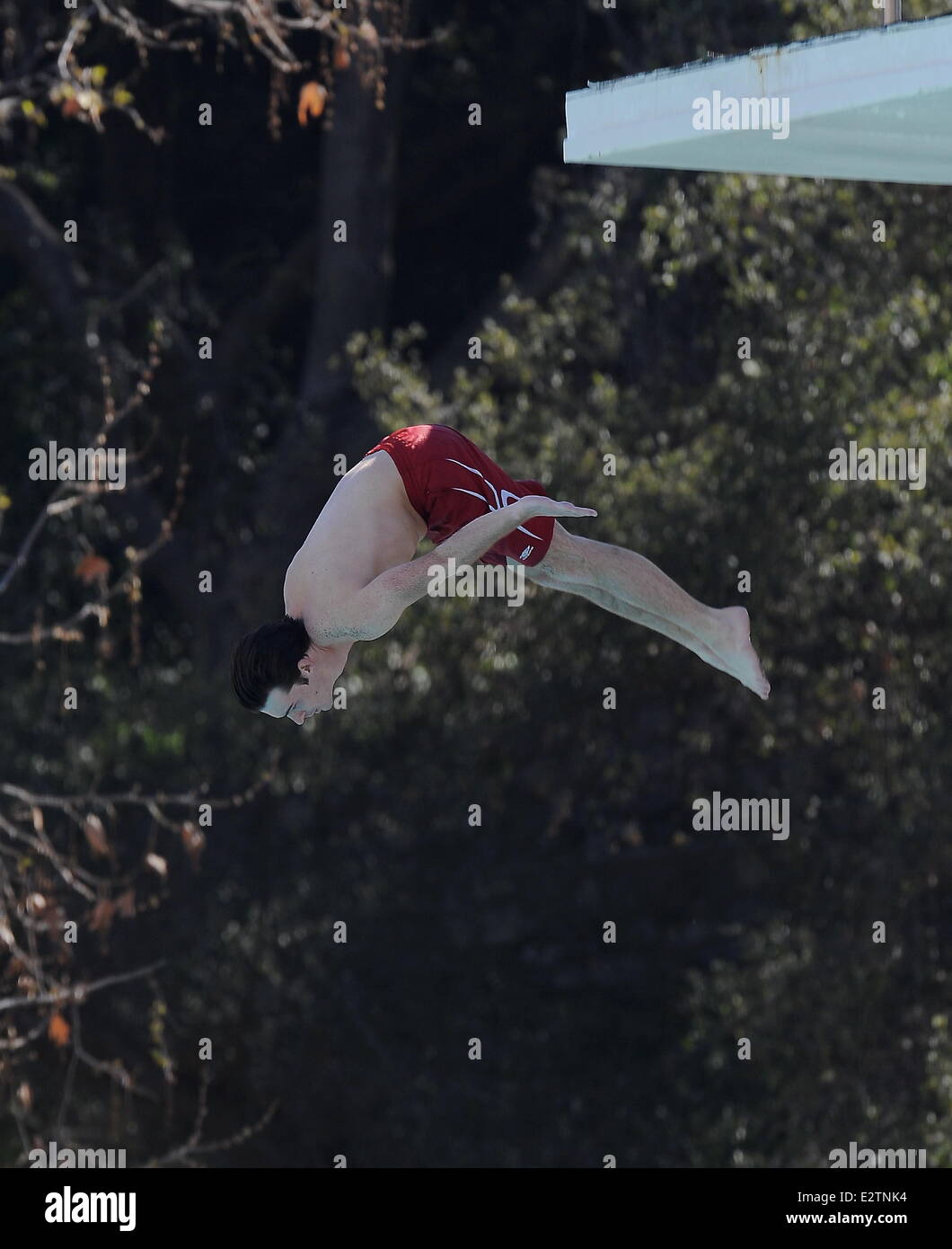 Celebrities practice their dives for the upcoming ABC show 'Splash ...