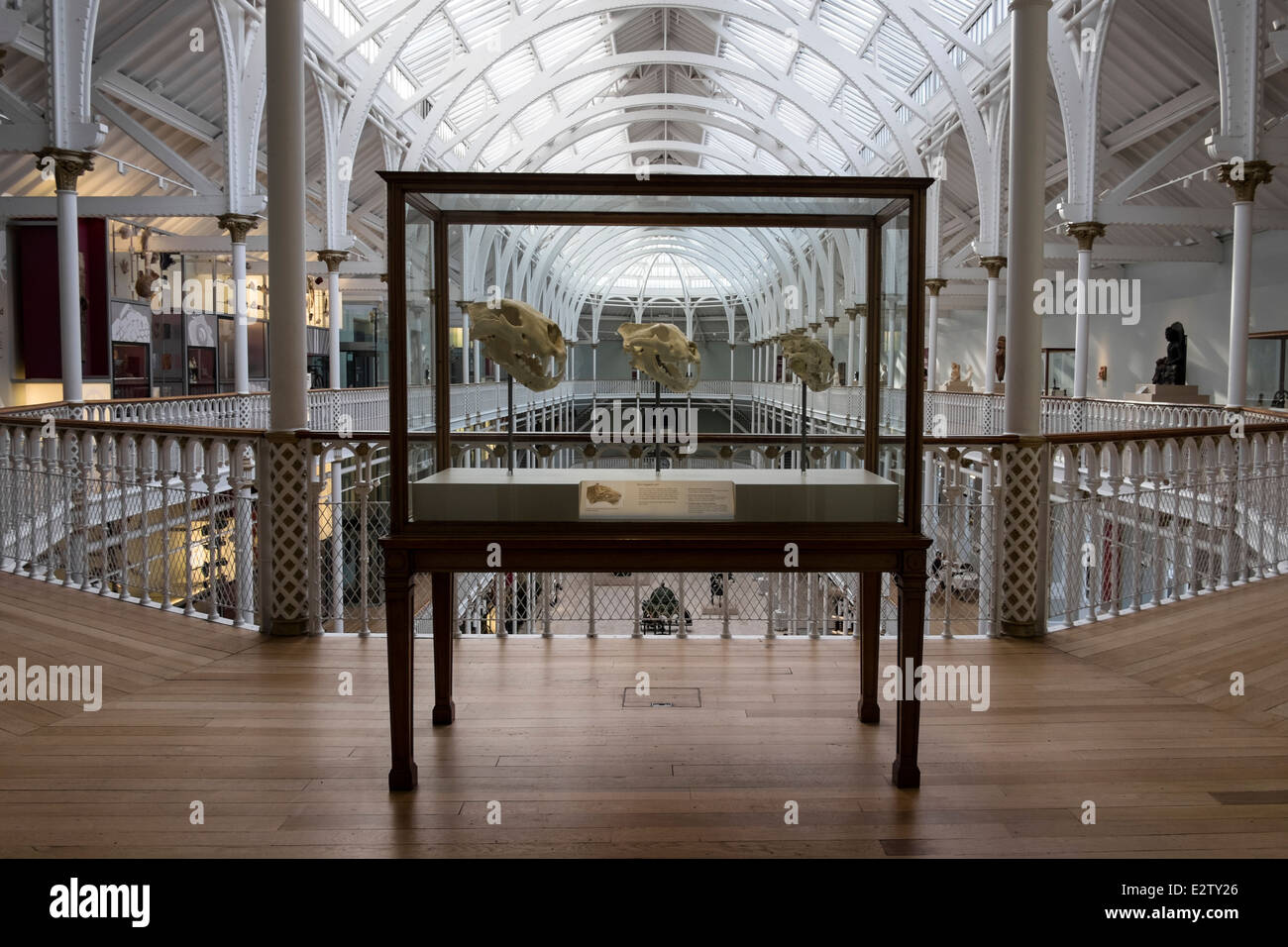 National Museum of Scotland, Edinburgh, Scotland Stock Photo - Alamy