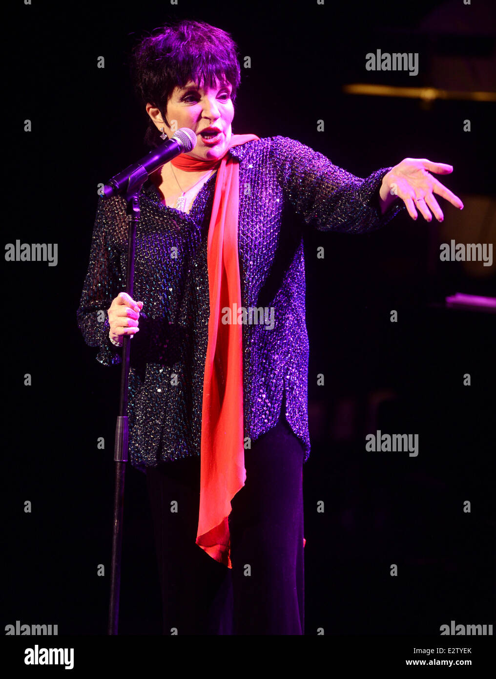 Liza Minnelli performs live on stage at the Royal Festival Hall ...