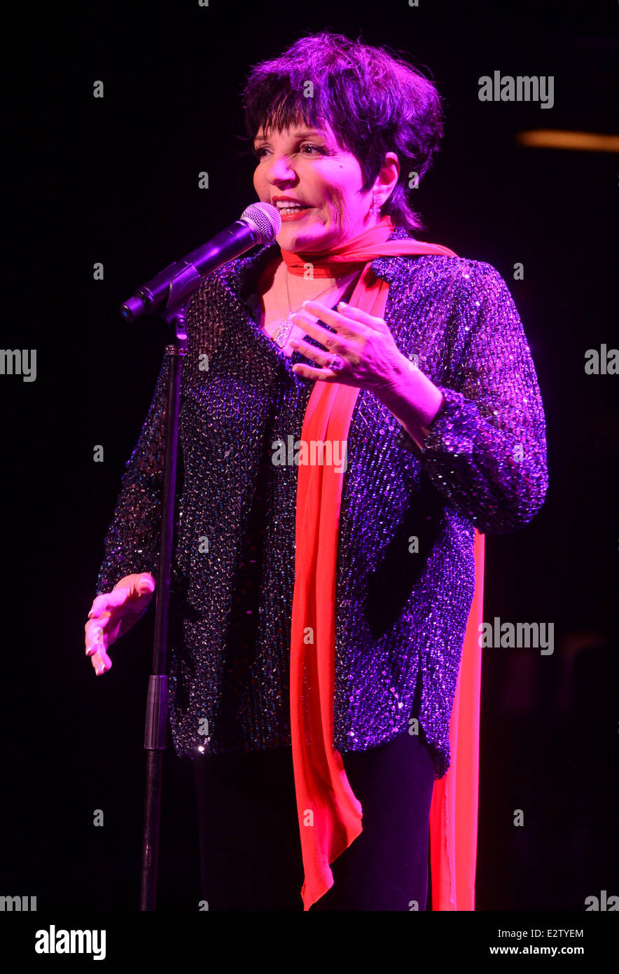 Singer liza minnelli on stage hi-res stock photography and images - Alamy