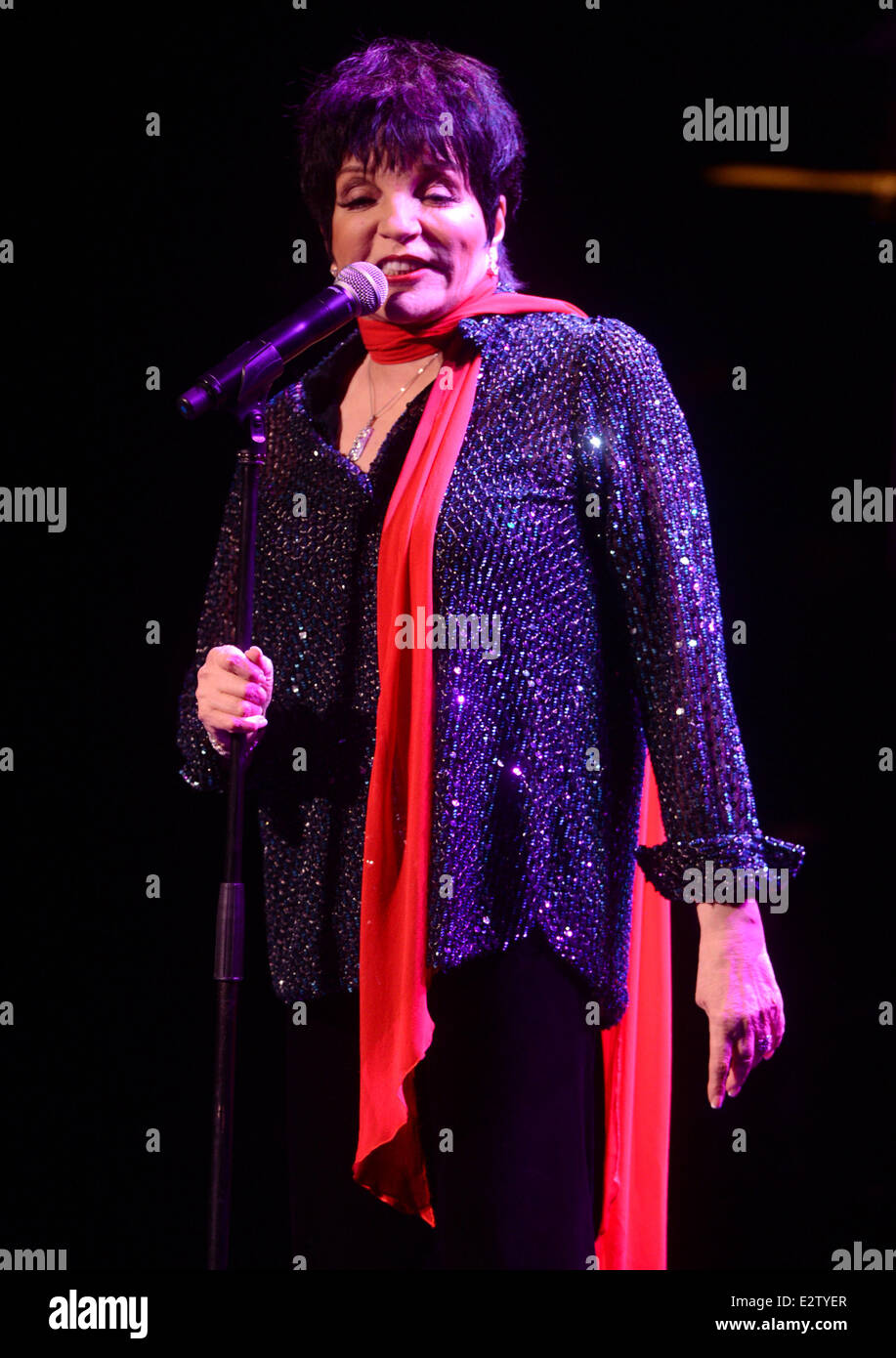Liza Minnelli performs live on stage at the Royal Festival Hall ...