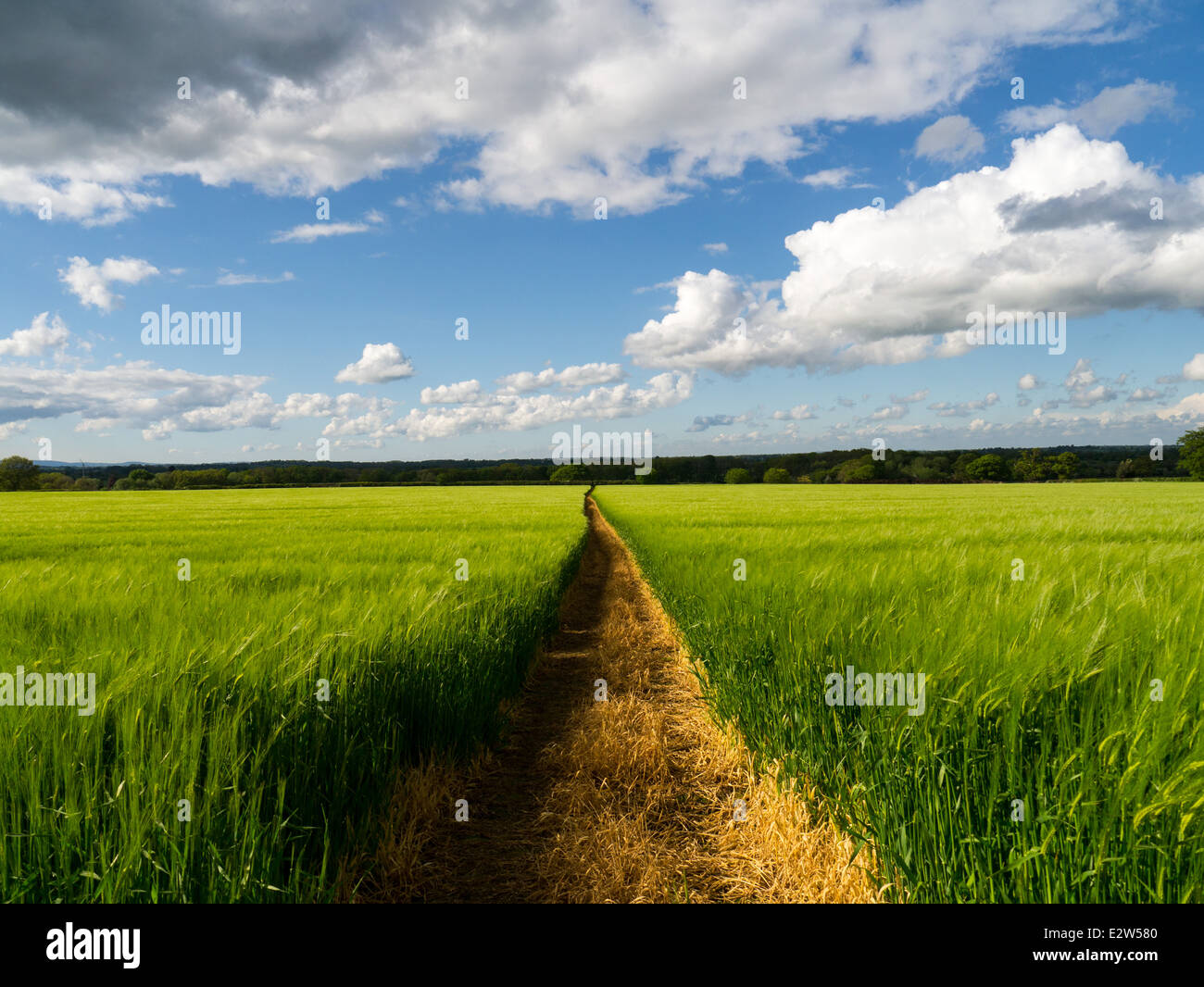 Straight Footpath High Resolution Stock Photography and Images - Alamy