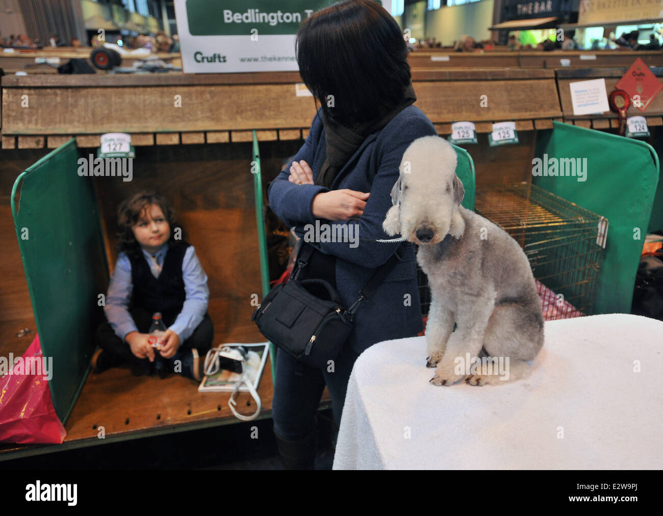 Day 1 of the 2013 Crufts Dog Show held at the Nec Arena - featuring ...