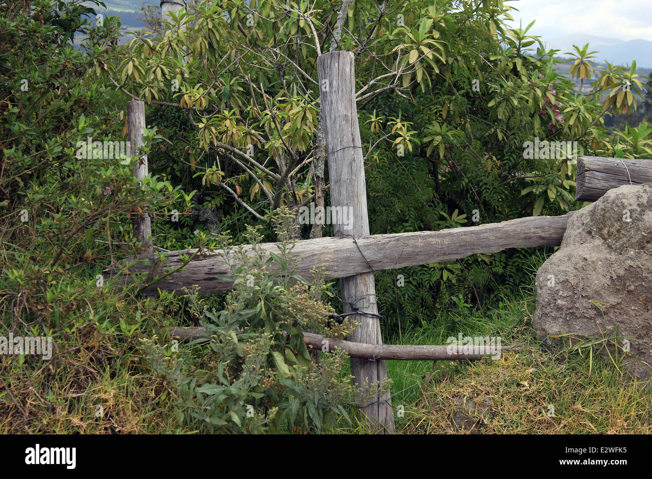 A wood fence combined with a stone wall next to a pasture in Cotacachi ...