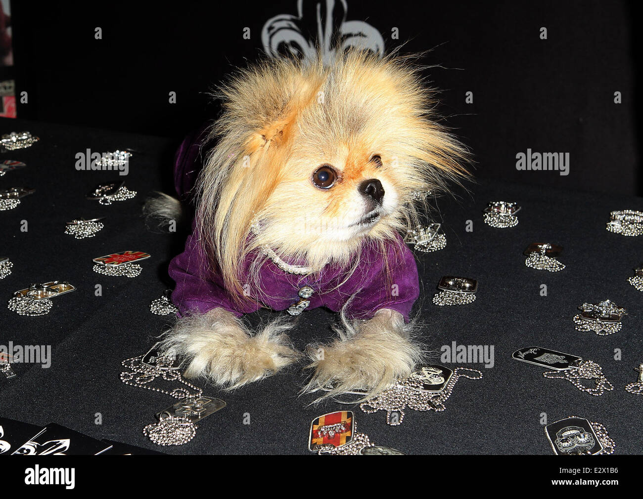 'Dancing with the Stars' Season 16 - Backstage Gifting Suite held at ...