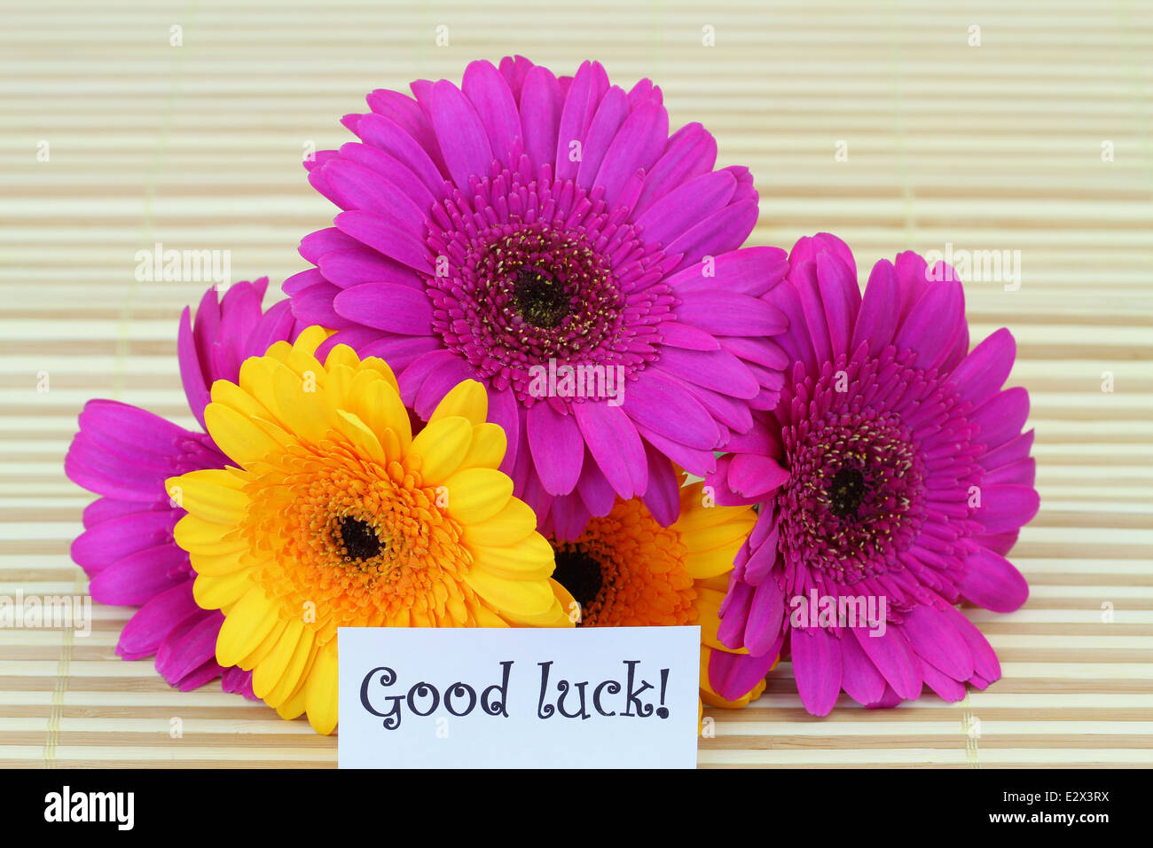 Good luck note with colorful gerbera daisies Stock Photo - Alamy