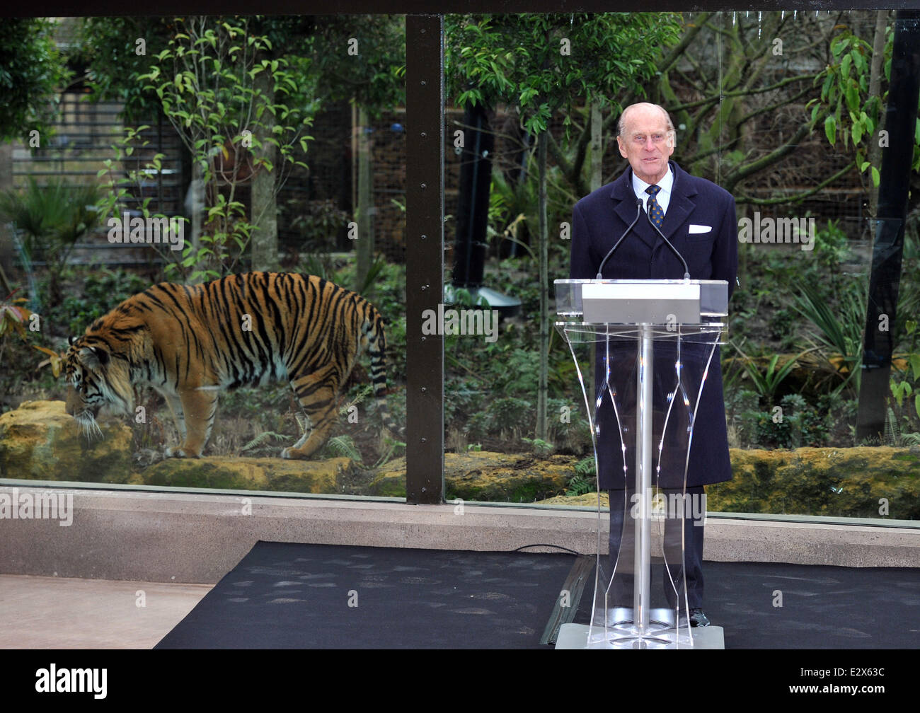 'Tiger Territory', a new tiger enclosure opens at the London Zoo Featuring: The Duke of ...