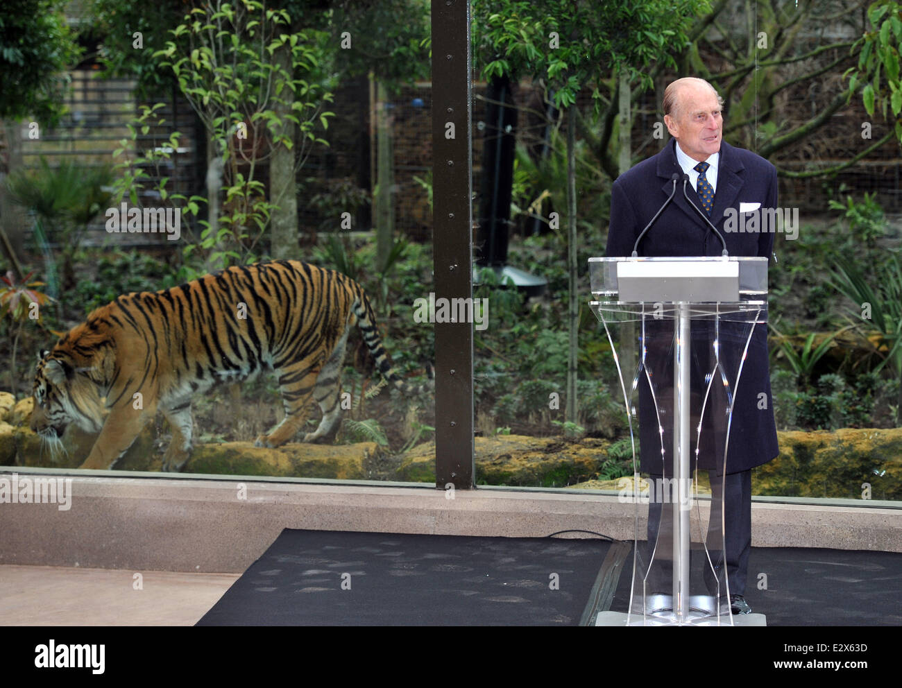 'Tiger Territory', a new tiger enclosure opens at the London Zoo Featuring: The Duke of ...