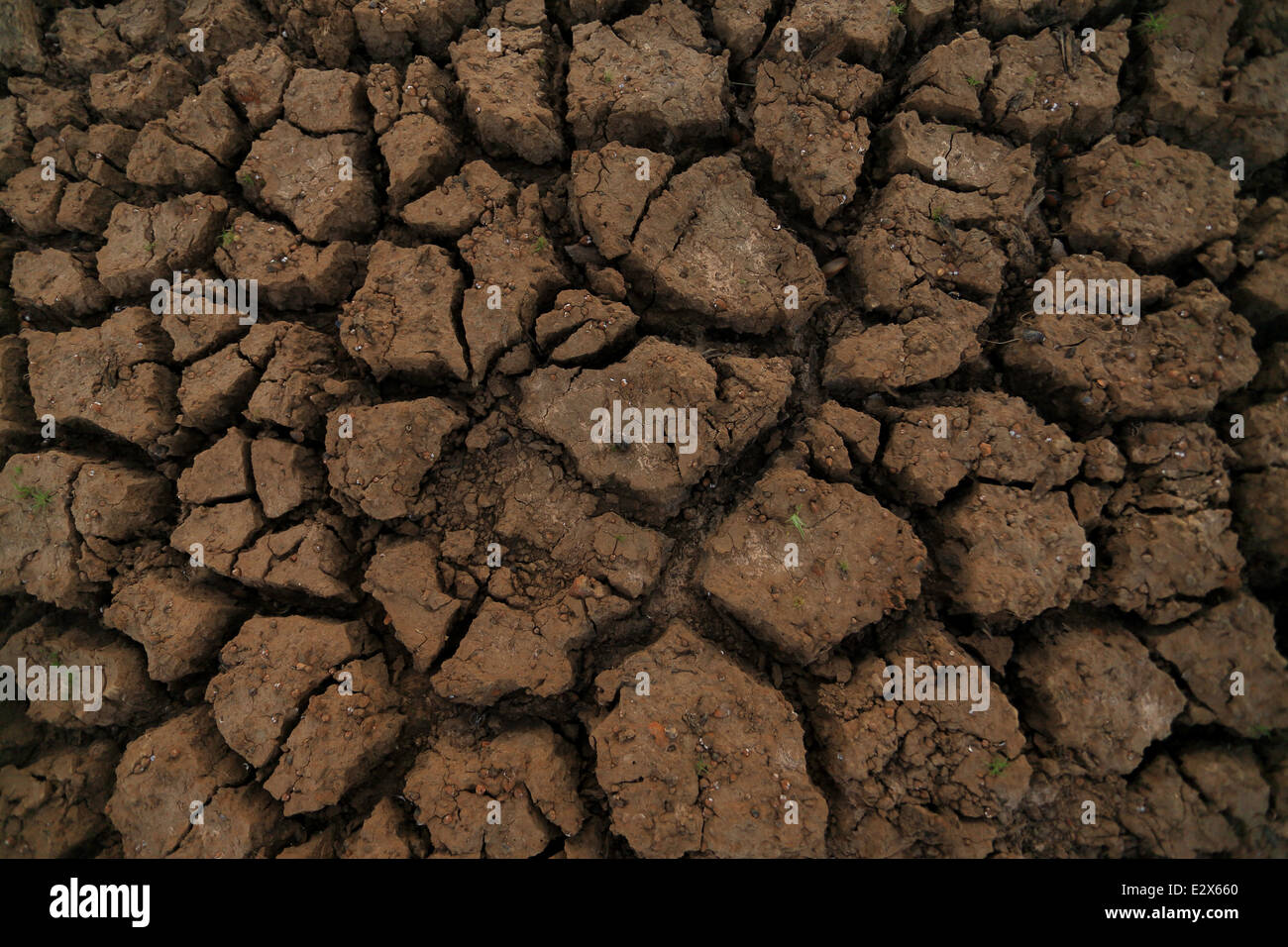 Beautiful photo sundried and cracked earth Stock Photo - Alamy