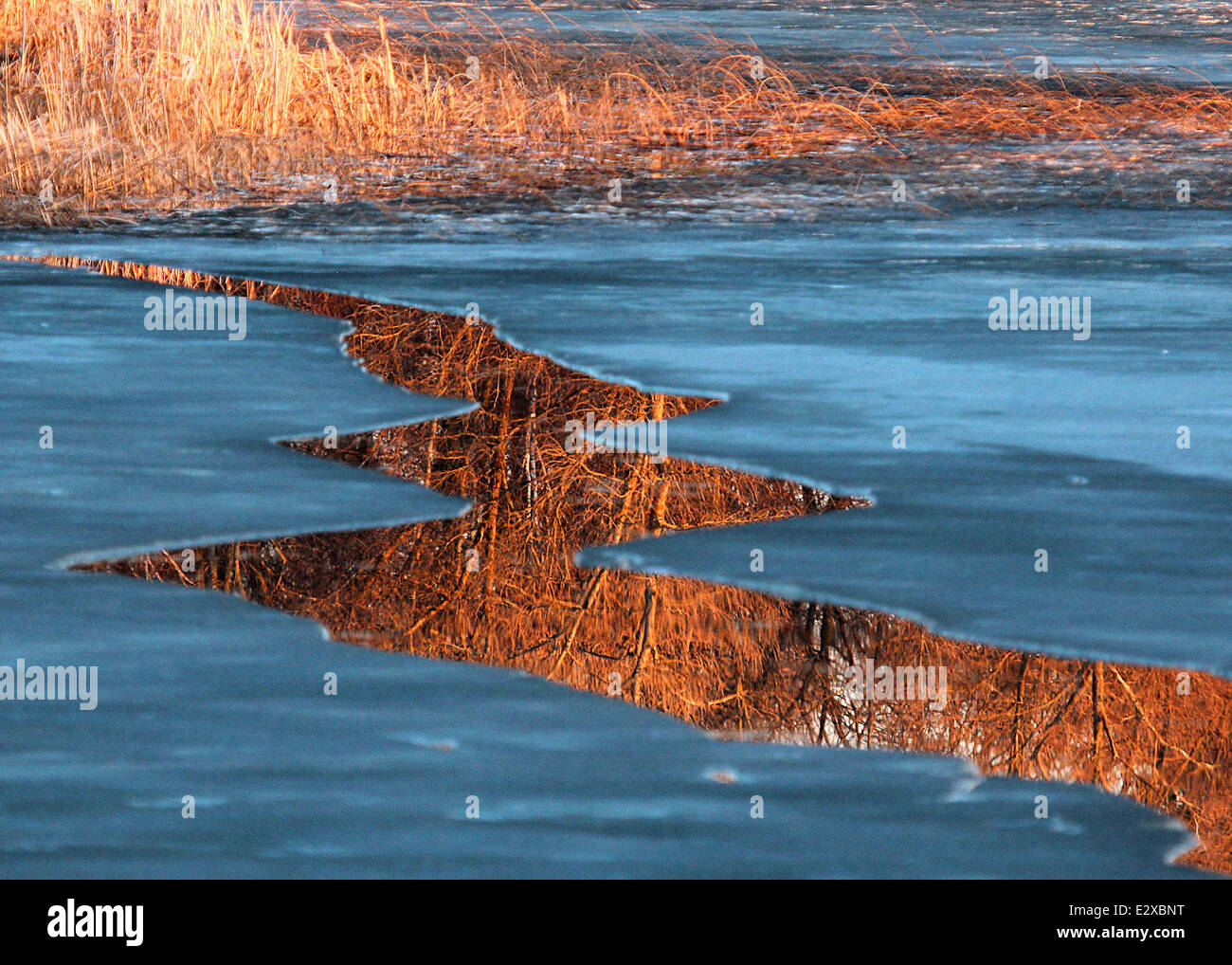 This winning photo from the 2013 USFWS Photo Contest shows the ...