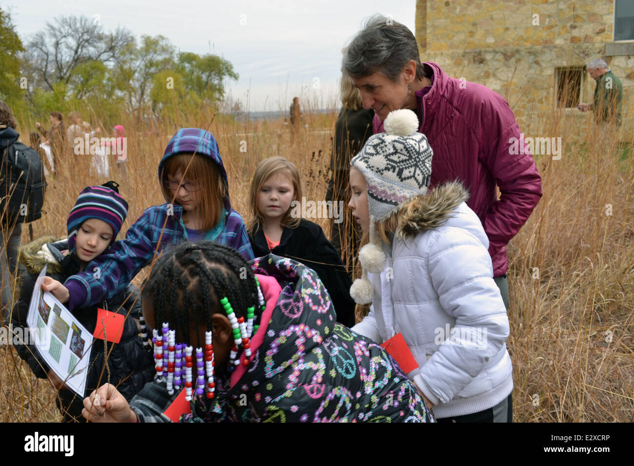Native Seed Collection Stock Photo - Alamy
