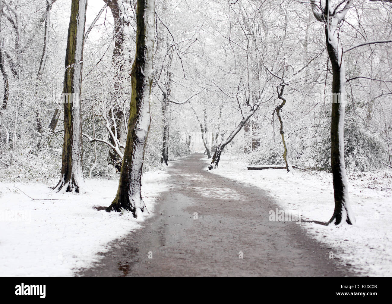 Snow fall in Highgate woods as blizzards place the UK's Spring season ...