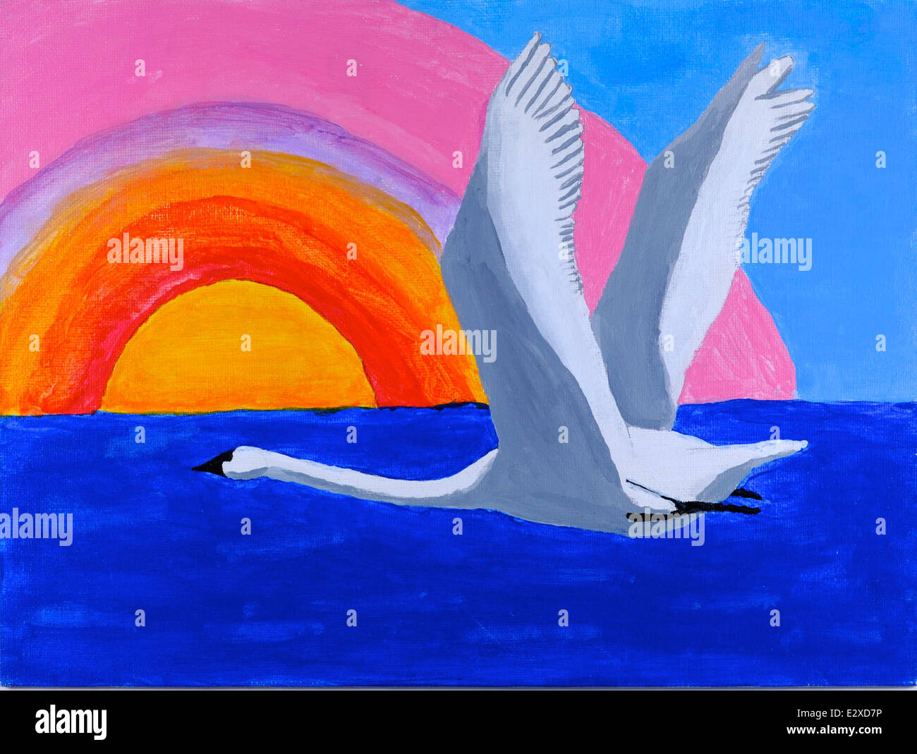 7 9 Grade Third Place Hyrum Smith Tundra Swan Stock Photo Alamy 7 9 Grade Third Place Hyrum Smith Tundra Swan Stock Photo Alamy