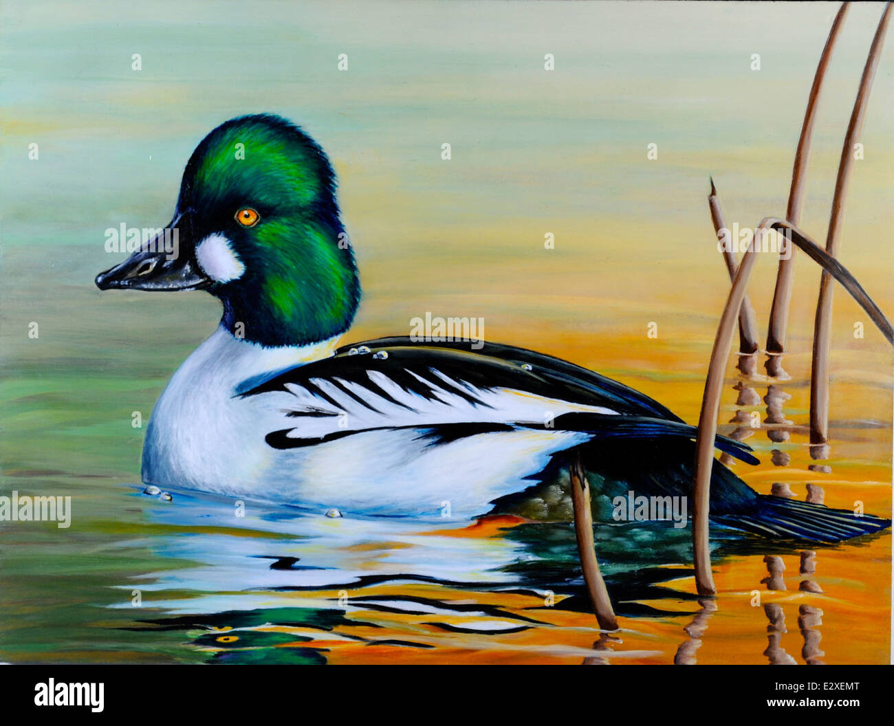 Jr duck stamp hi-res stock photography and images - Alamy