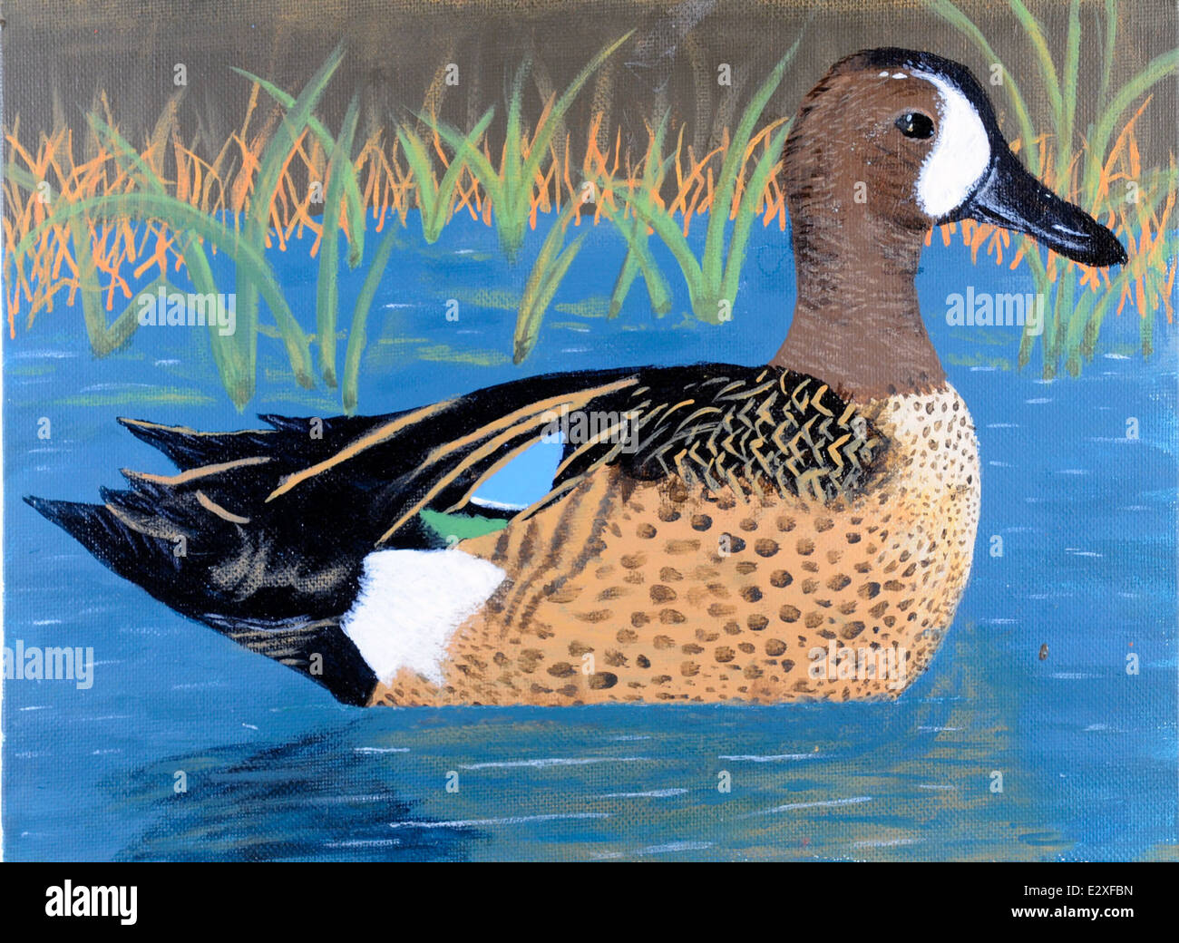 Taylor Tenhoff won third place in the 2013 Junior Duck Stamp art ...