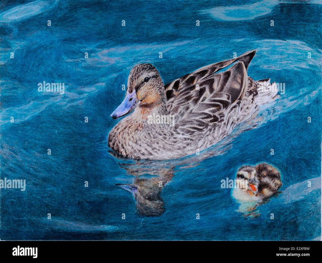 The 2013 Junior Duck Stamp contest, with First Place awarded to ...
