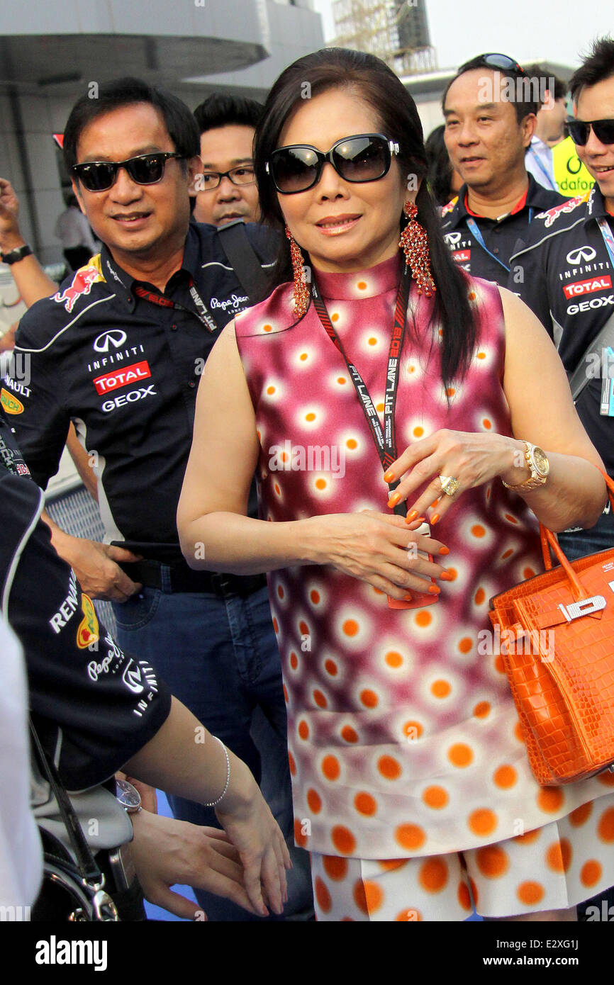 Malaysian Formula One Grand Prix at the Sepang Circuit Featuring ...