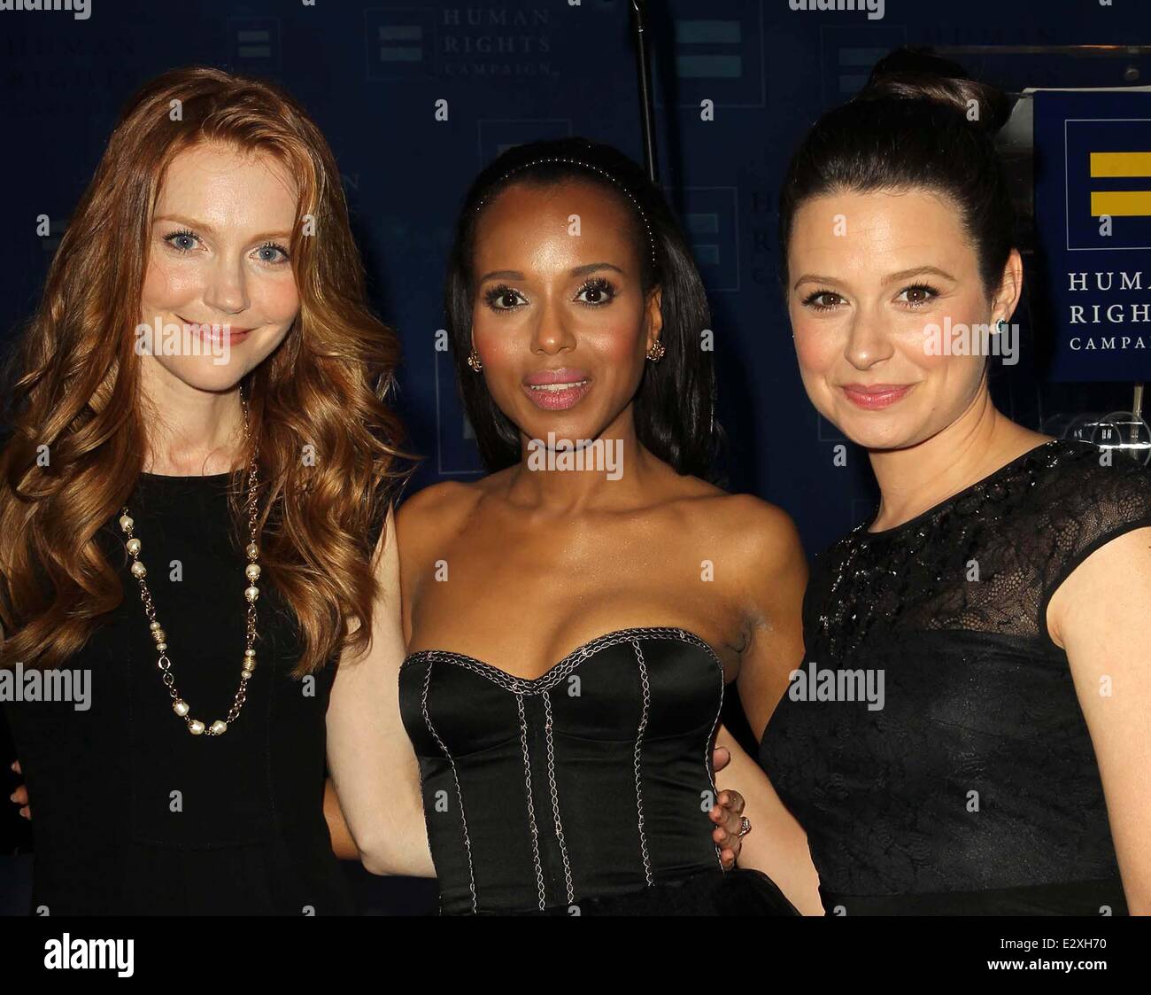 2013 Human Rights Campaign Annual Gala Featuring: Darby Stanchfield ...