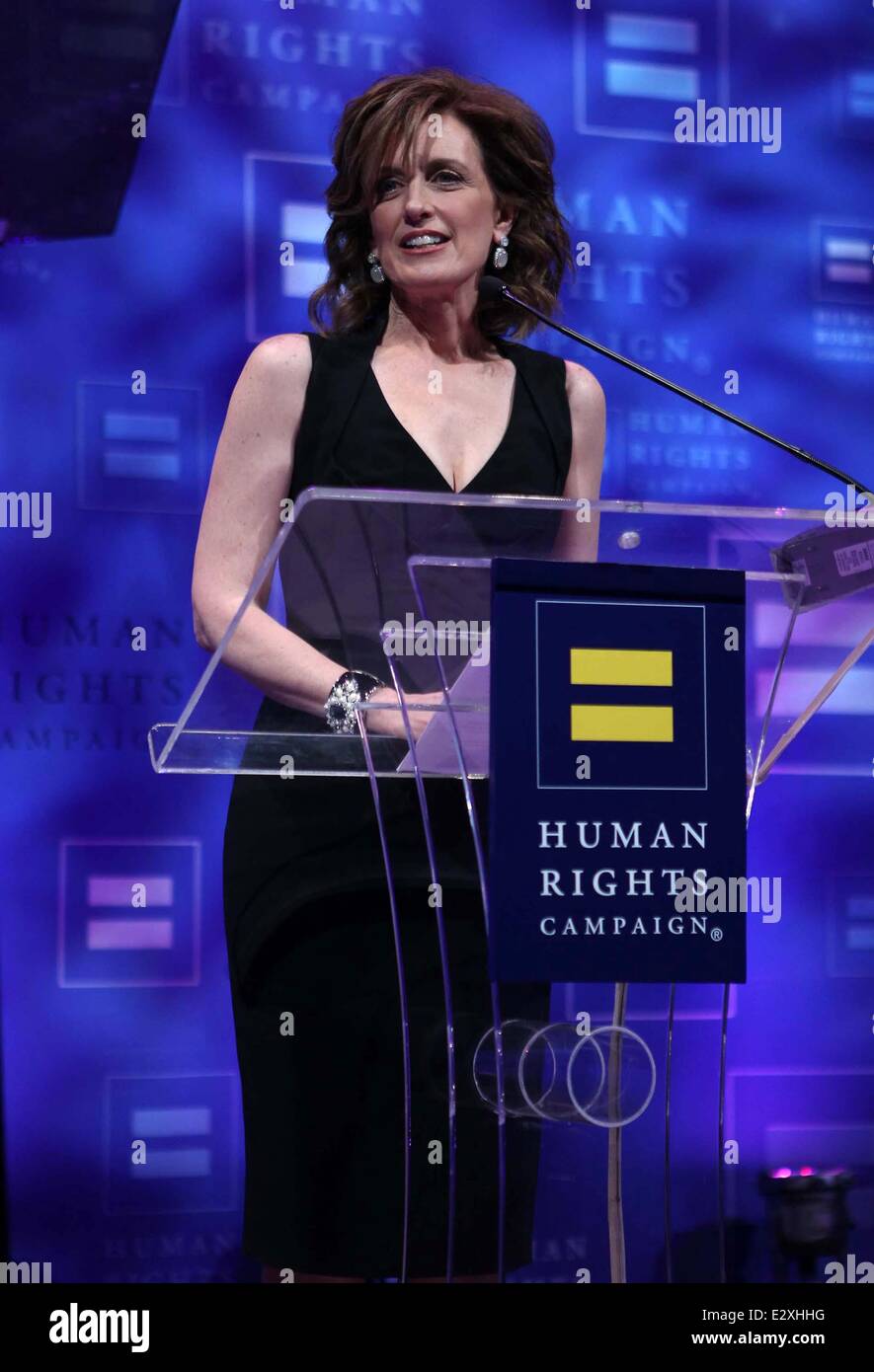 2013 Human Rights Campaign Annual Gala Featuring: Anne Sweeney Where: Los Angeles, California ...