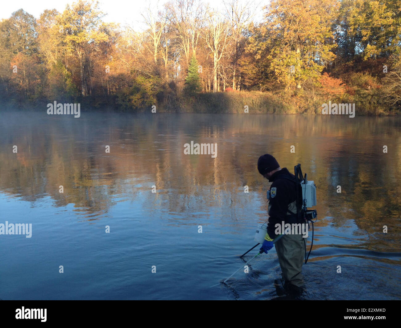 U.S. Fish and Wildlife Service employee Jason Krebill collects invasive ...
