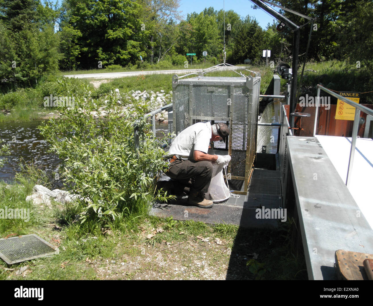 Invasivespecies hi-res stock photography and images - Alamy