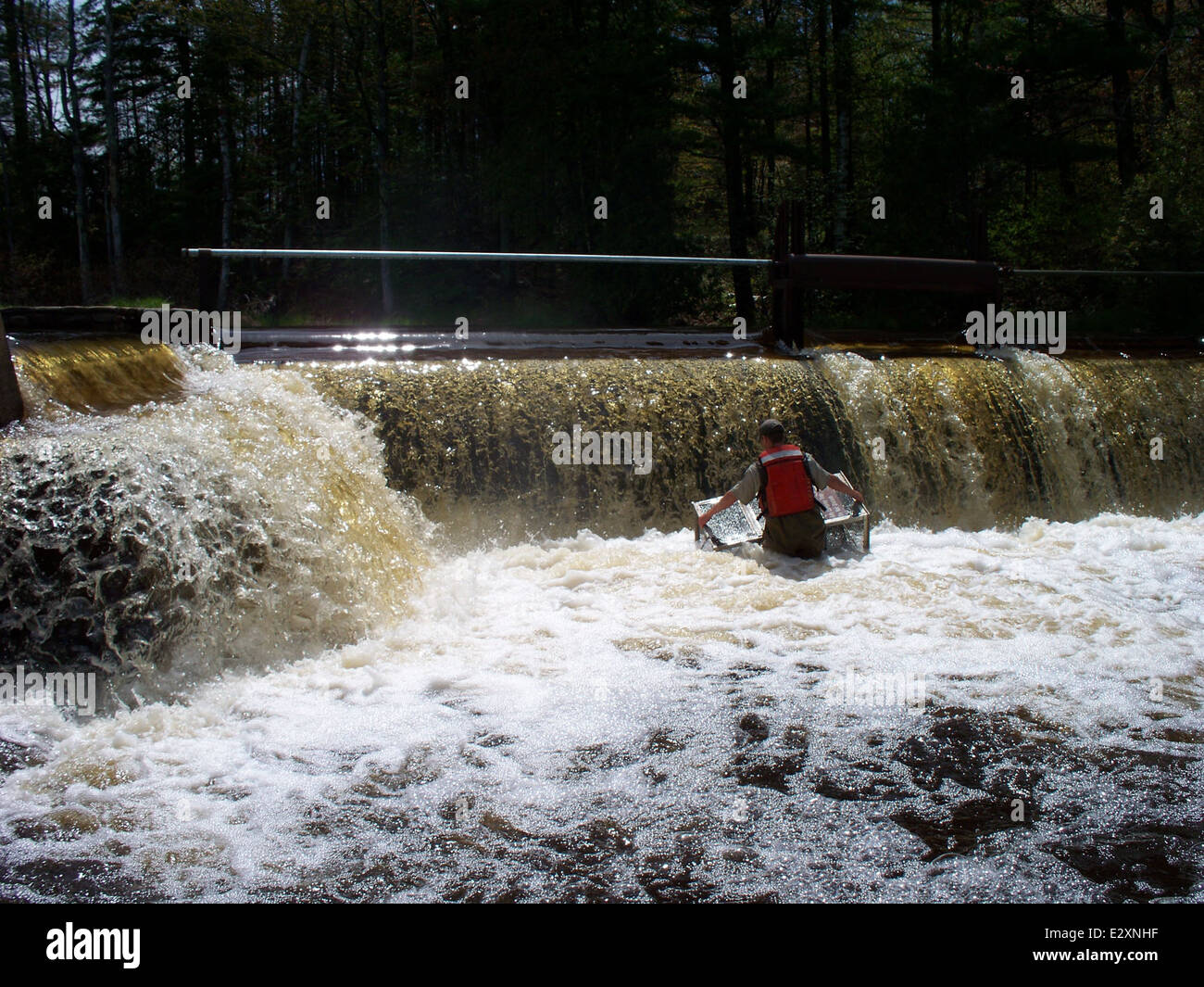 At the Rock River in Wisconsin, a portable assessment trap was deployed ...
