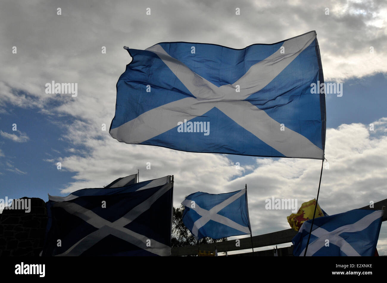 Bannockburn, Scotland, UK. 21st June 2014. Battle of Bannockburn 700th ...