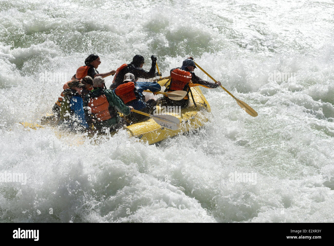 Running Lava Falls on the Colorado River in a paddle raft, Grand Canyon ...