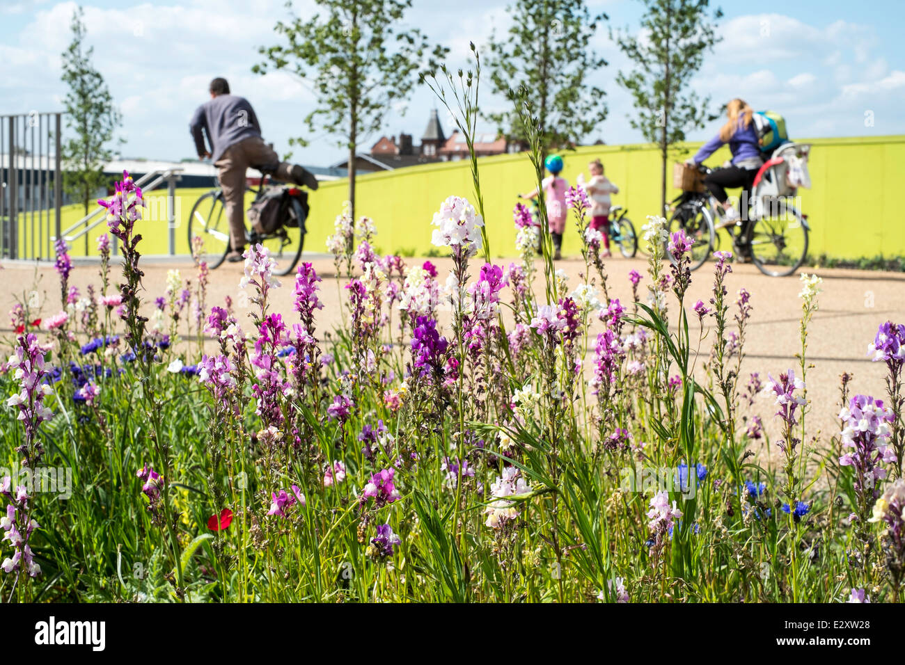 Queen elizabeth olympic park meadow hi-res stock photography and images ...