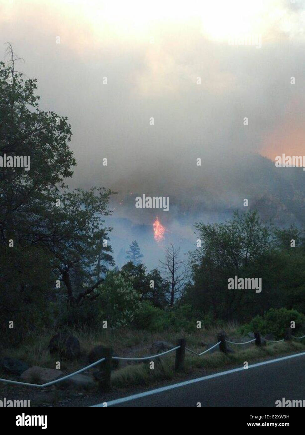 Fire resistant canopy hi-res stock photography and images - Alamy