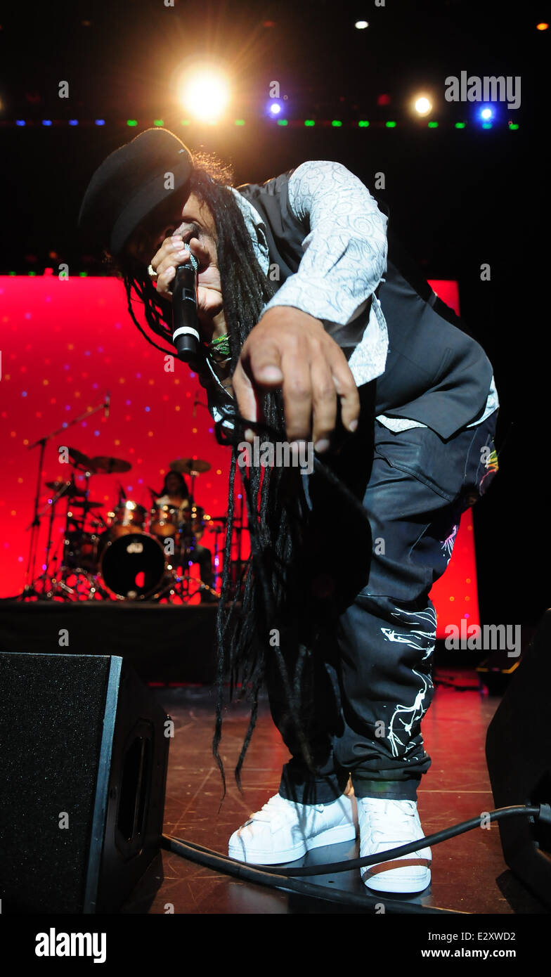 Reggae vocalist Maxi Priest performs live at Miramar Cultural Center ...