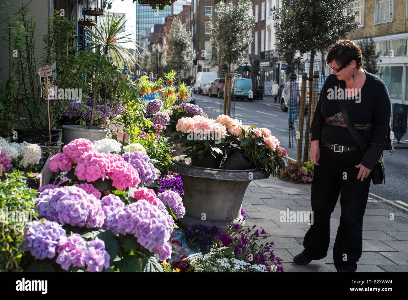 Marylebone Shopping UK, flower stall, London, United Kingdom Stock ...