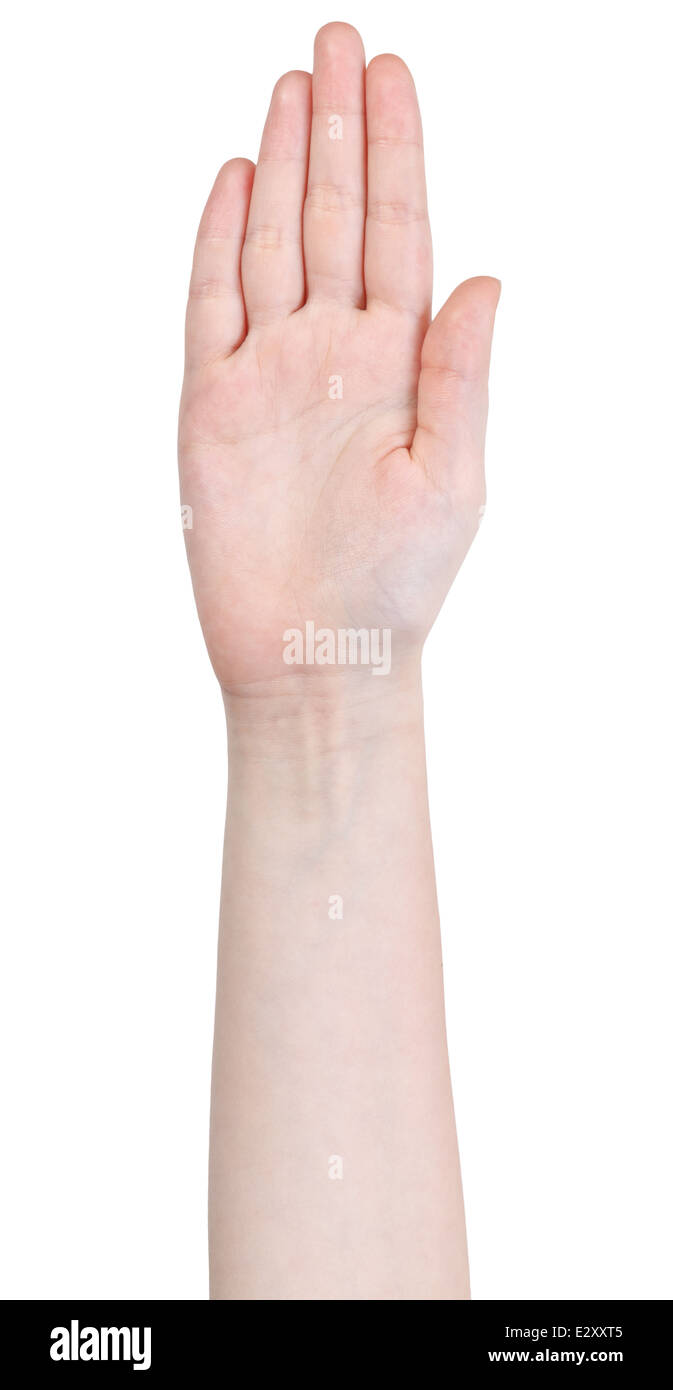 open five fingers together hand gesture isolated on white background ...