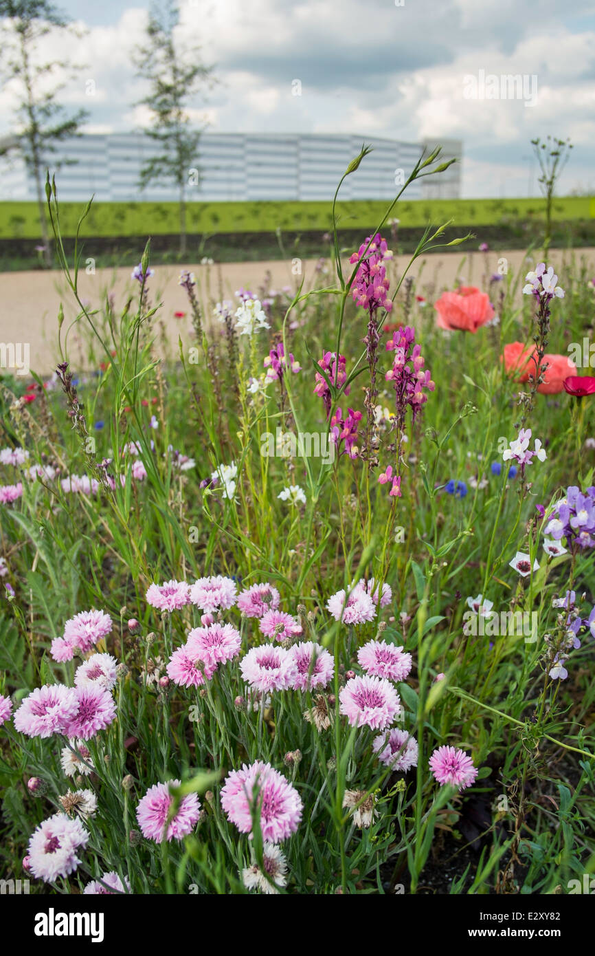 Meadow by Olympic Park London, United Kingdom Stock Photo - Alamy
