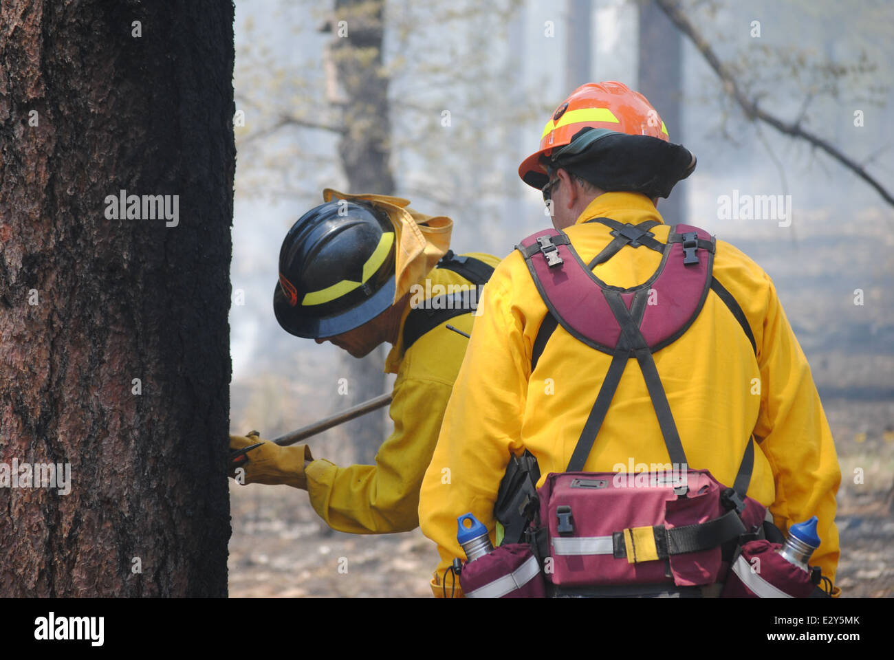 The Slide Fire of 2014 impacted the Oak Creek Canyon area in the ...