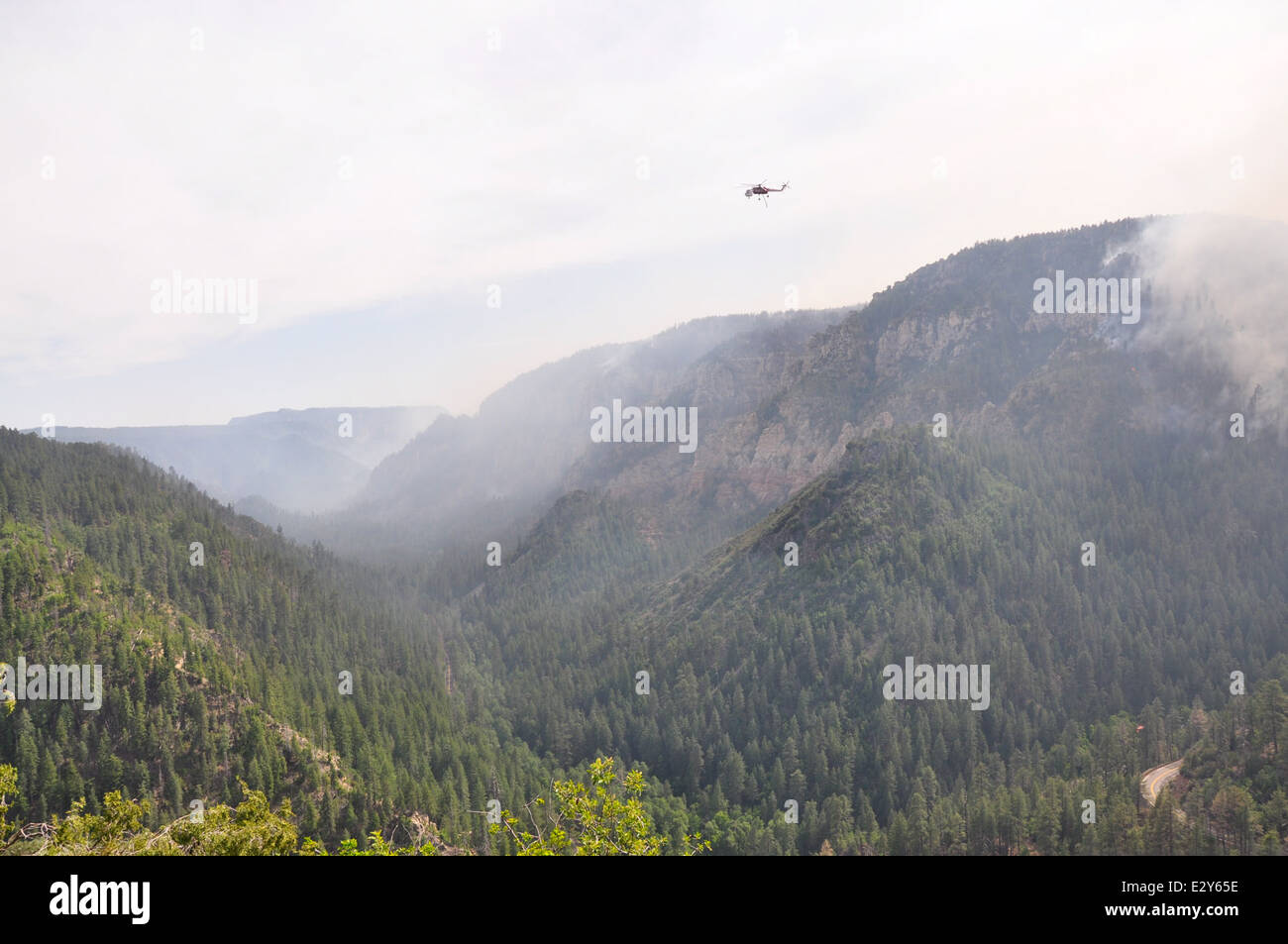 U s forestservicehistory hi-res stock photography and images - Alamy