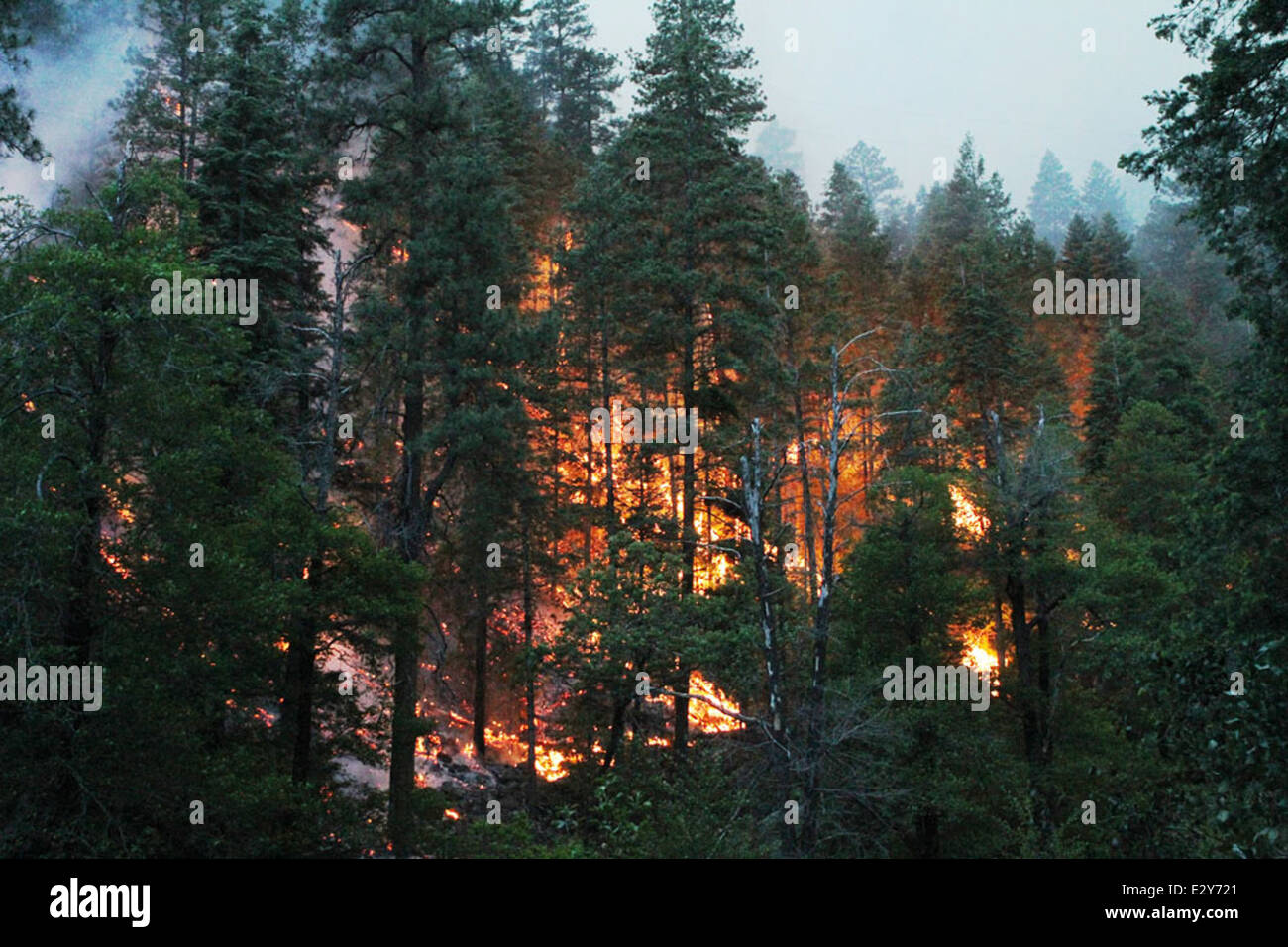 A wildfire in the Coconino National Forest, southwest of Dave Waters ...