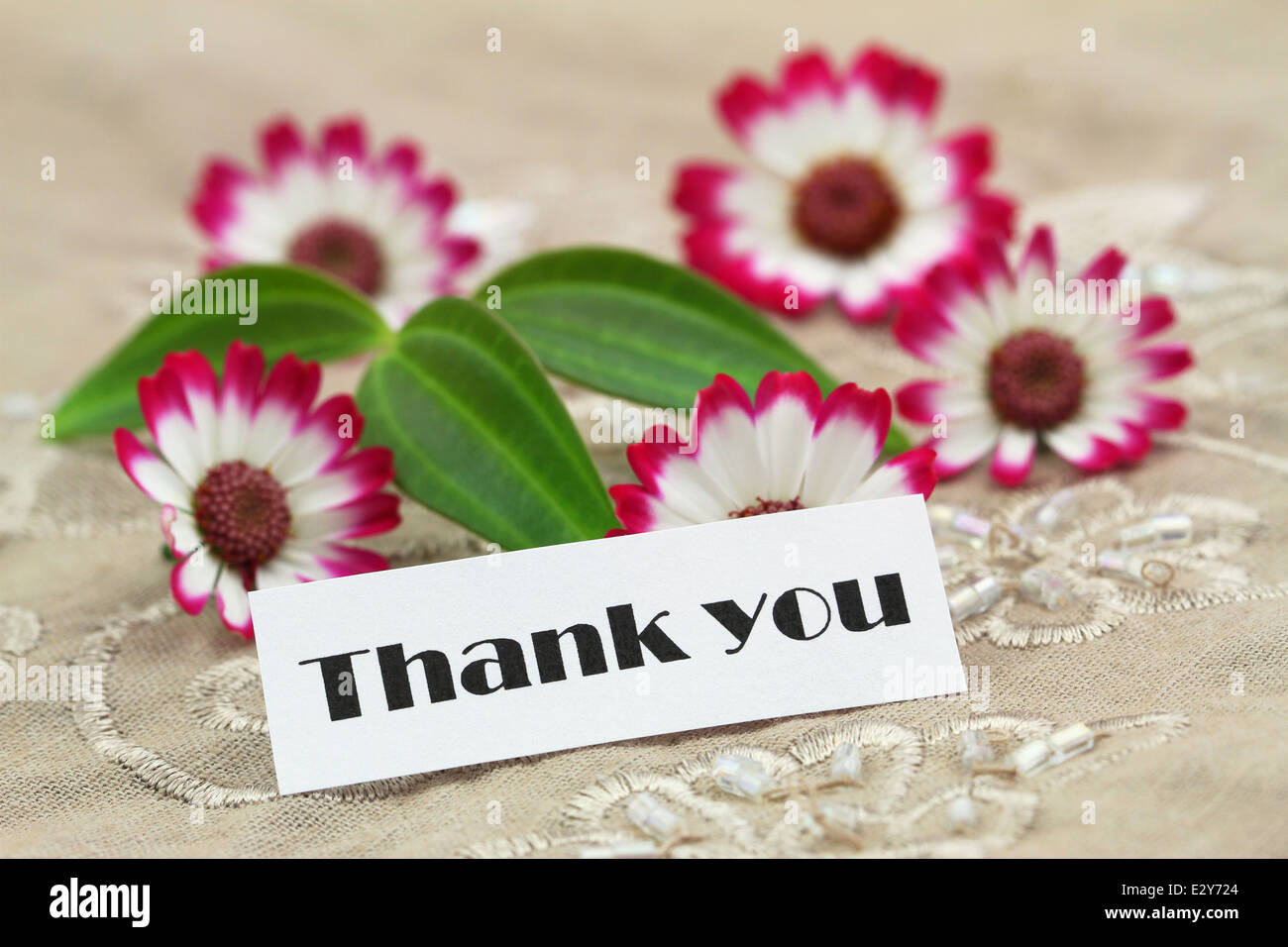 Thank you card with red spring flowers Stock Photo - Alamy