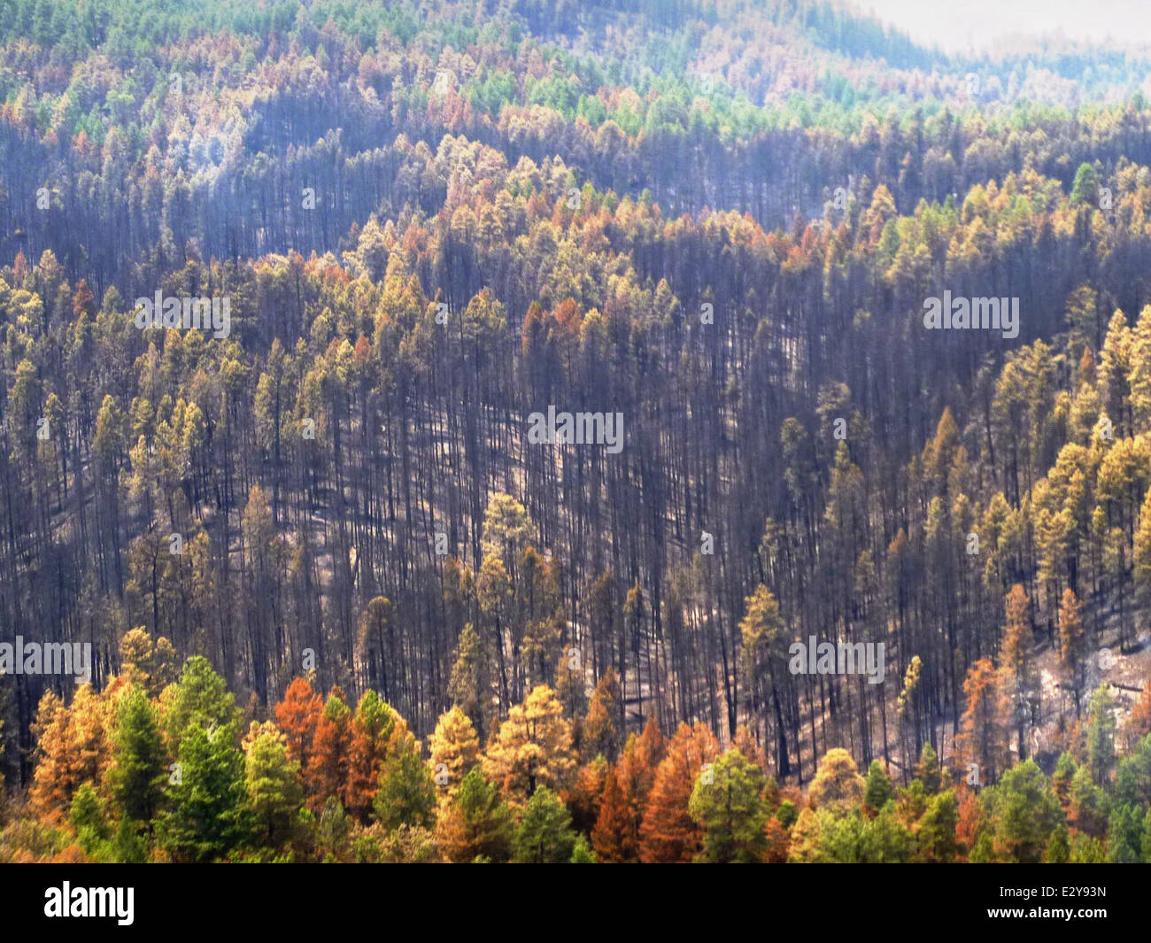 Aerial views of the Slide Fire, taken on May 27, 2014, offer a ...