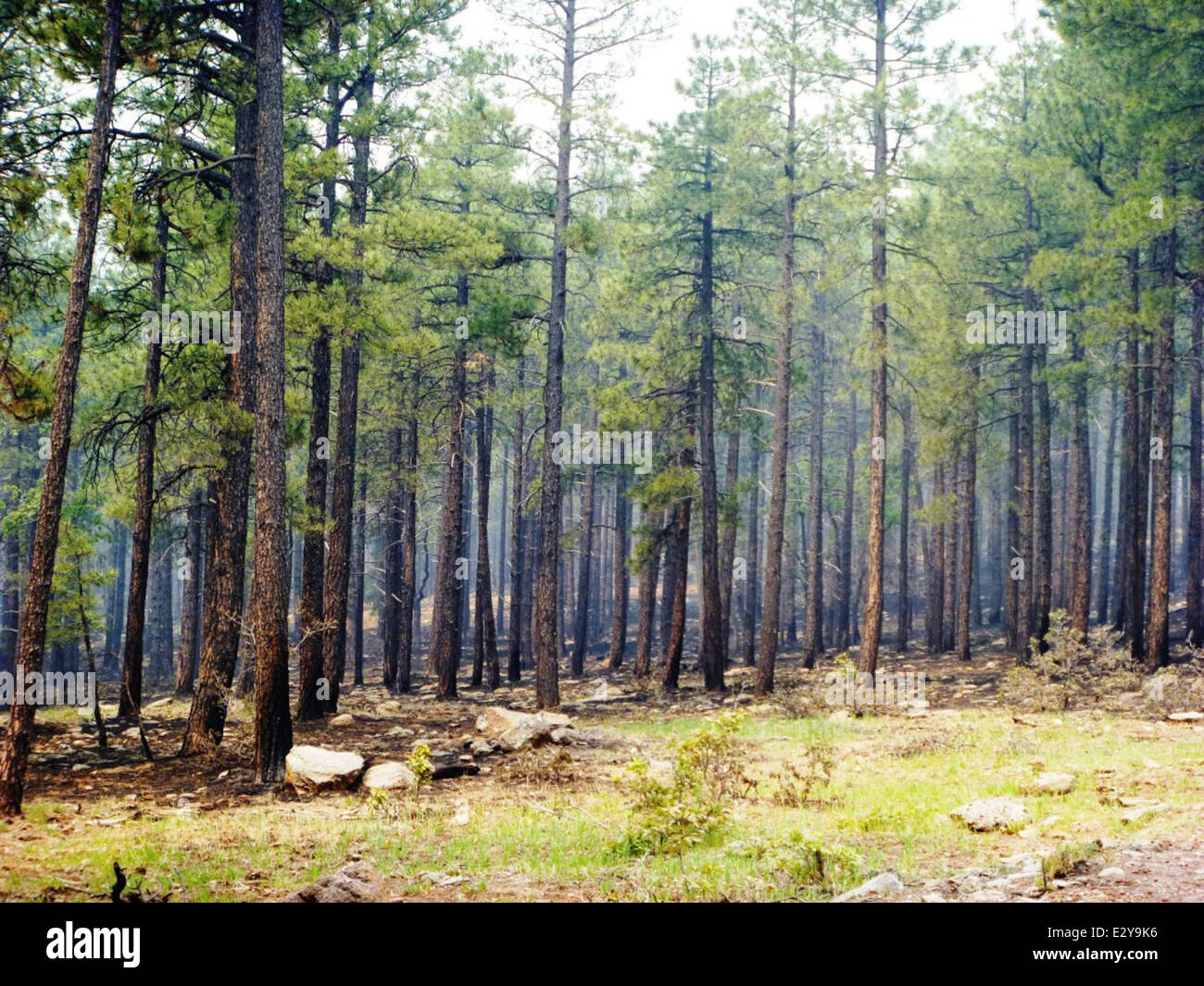 Slide Fire Aerials 05.27.14 (1 Stock Photo - Alamy