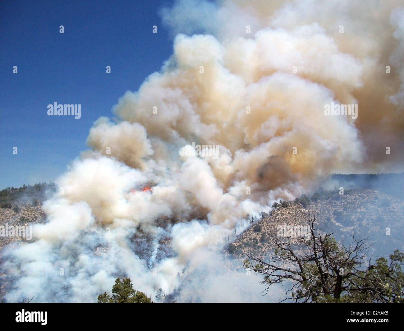 Taylorfire hi-res stock photography and images - Alamy