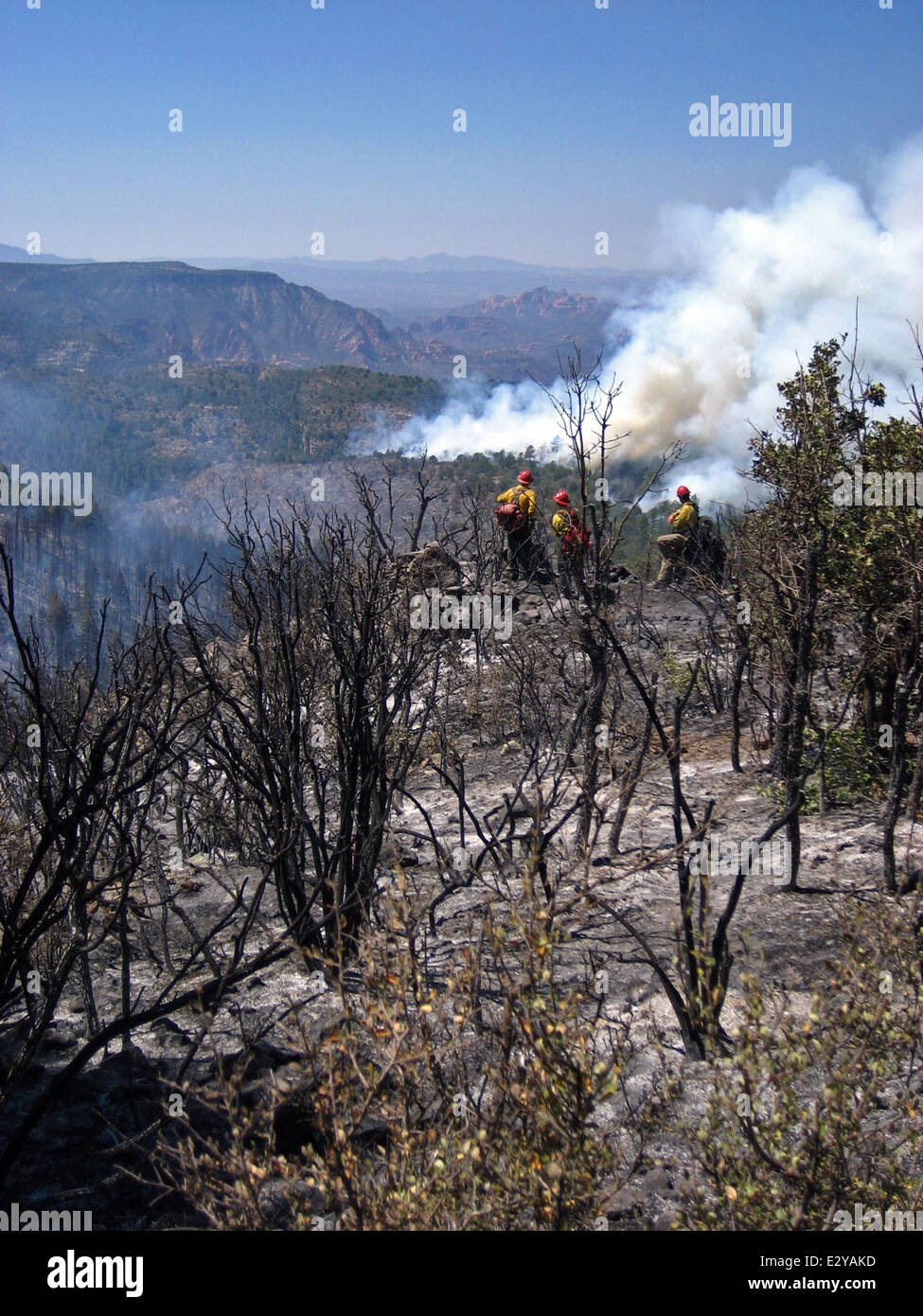 Taylorfire hi-res stock photography and images - Alamy