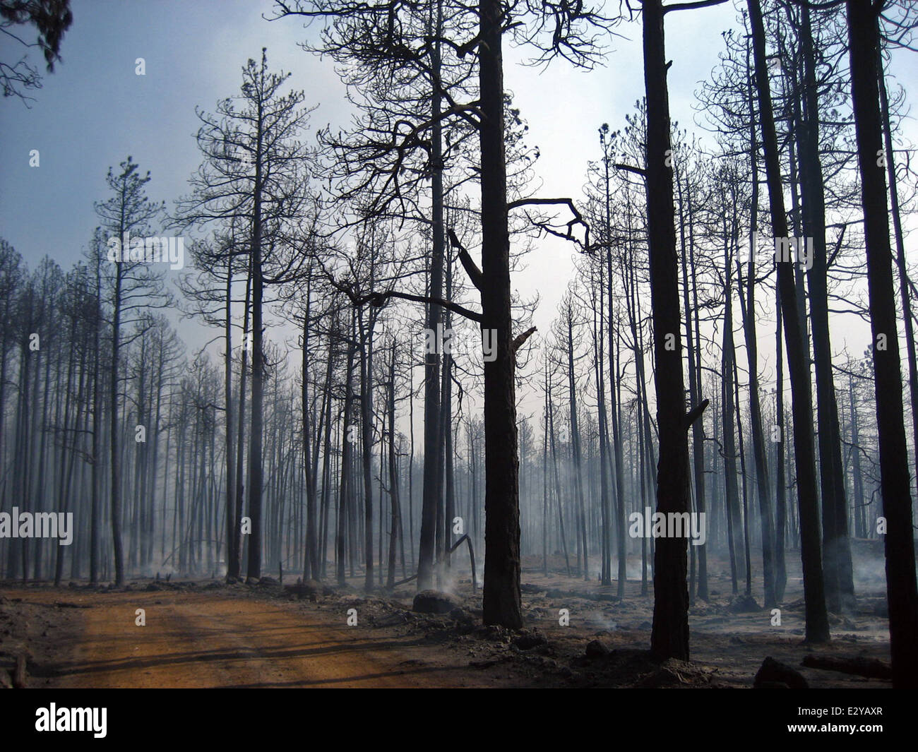 Taylorfire hi-res stock photography and images - Alamy