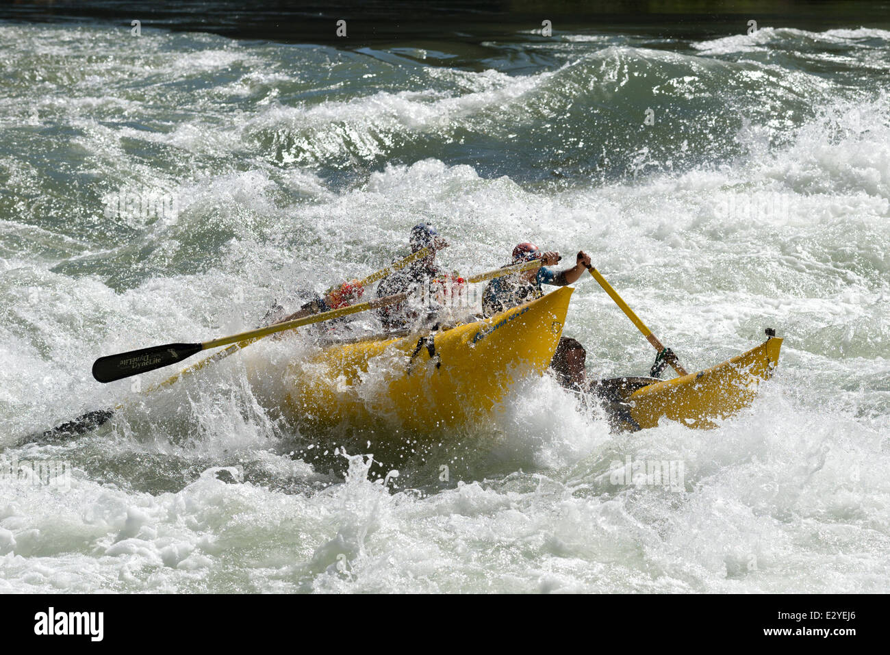 Rowing catamaran hi-res stock photography and images - Alamy