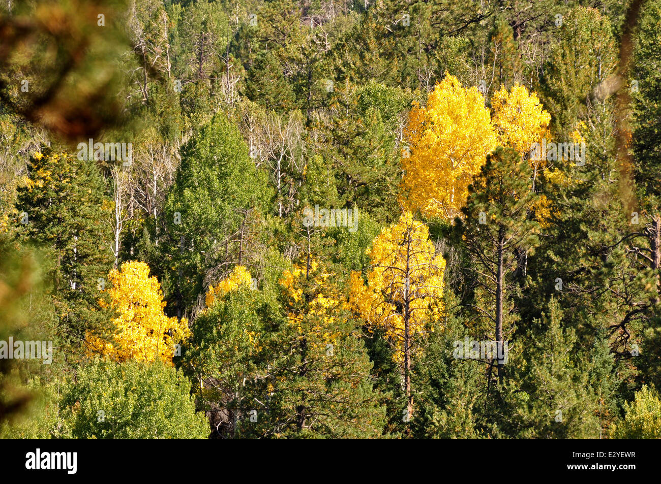 Aroundthepeaksloop hi-res stock photography and images - Alamy