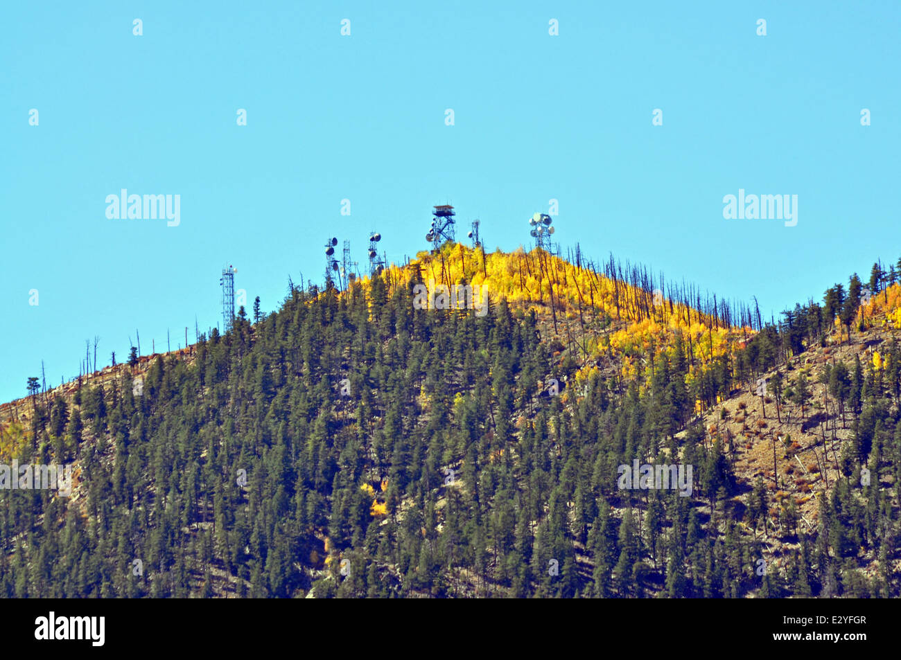 The top of Mt. Elden Stock Photo - Alamy