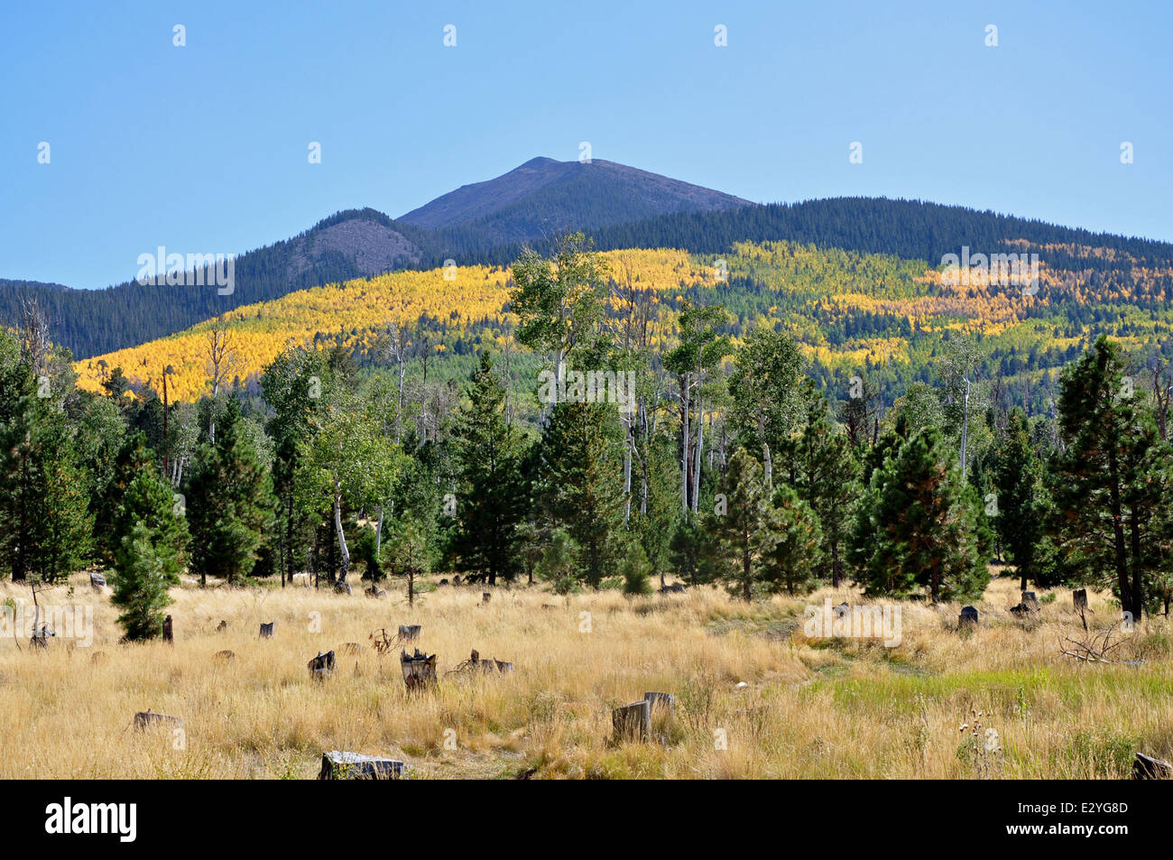 This image captures the fall colors along the Around the Peaks Loop in ...