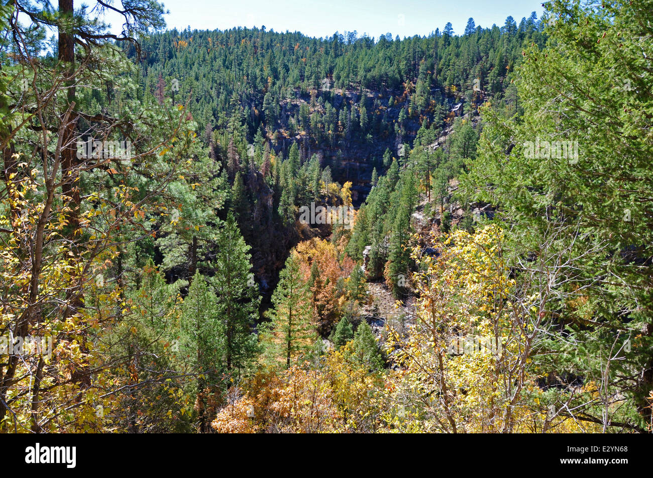 East Clear Creek in Coconino National Forest showcases stunning fall ...